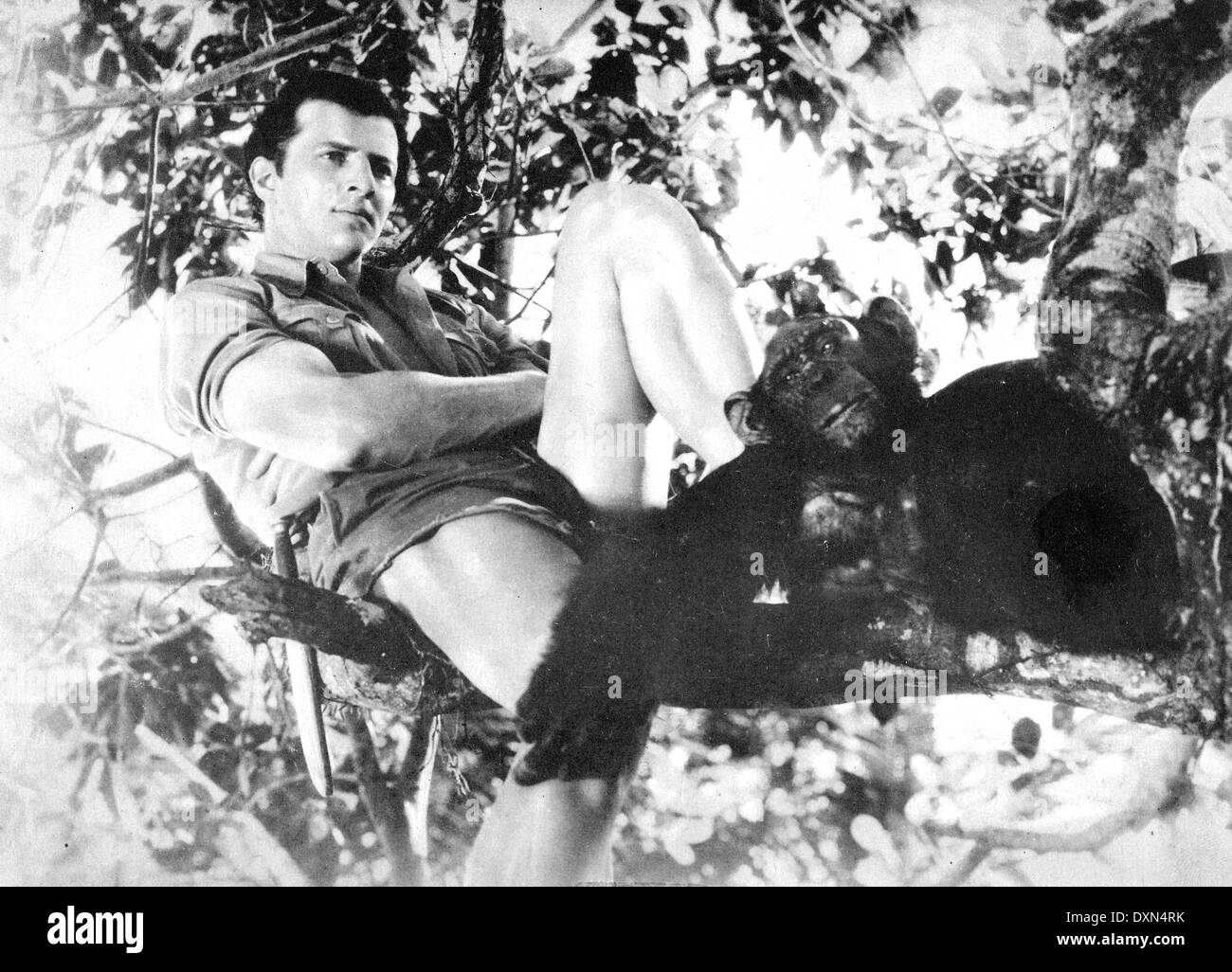 THE NEW ADVENTURES OF TARZAN Stock Photo - Alamy