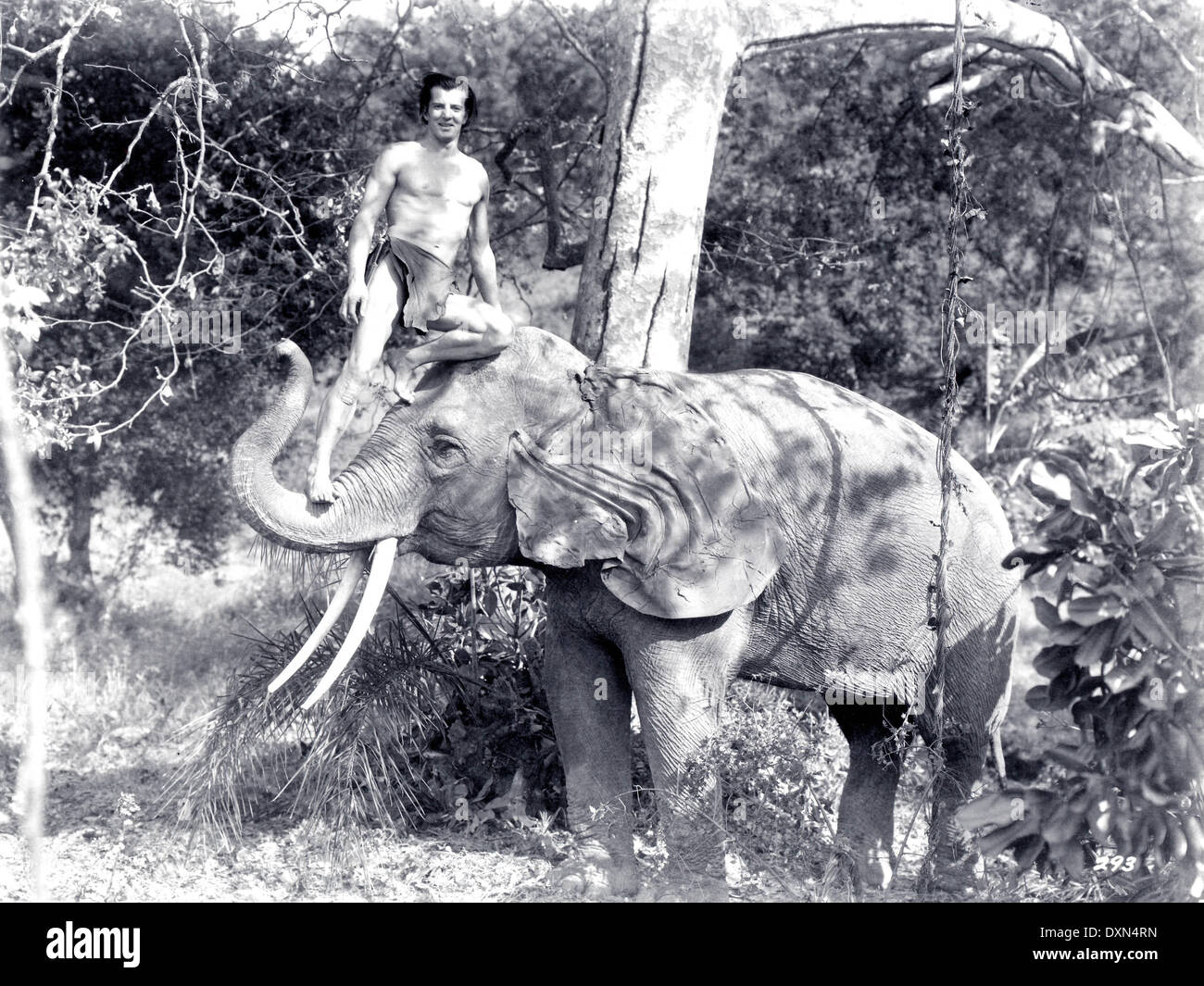 THE NEW ADVENTURES OF TARZAN Stock Photo - Alamy