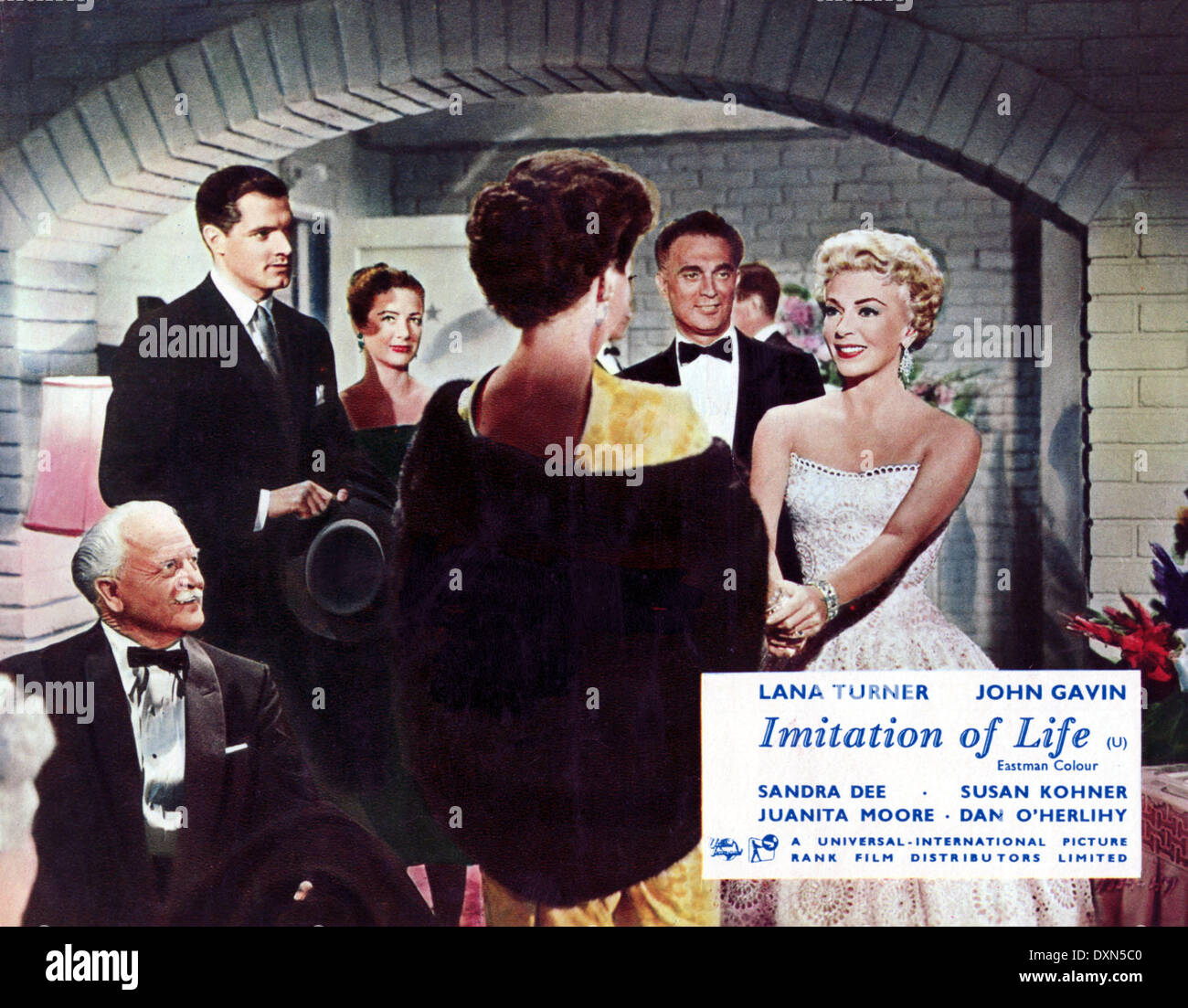 IMITATION OF LIFE Stock Photo - Alamy