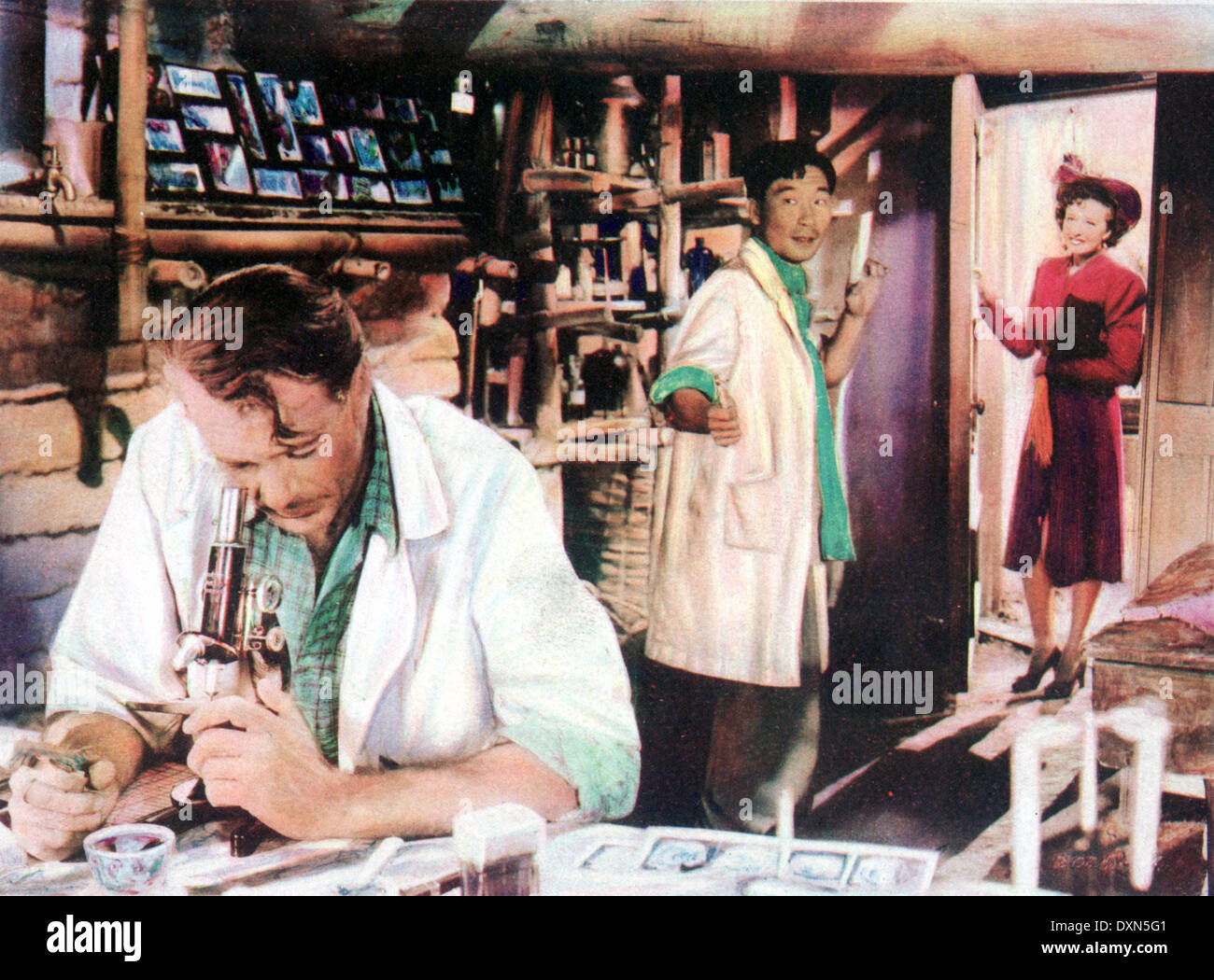 THE STORY OF DR WASSELL Stock Photo - Alamy