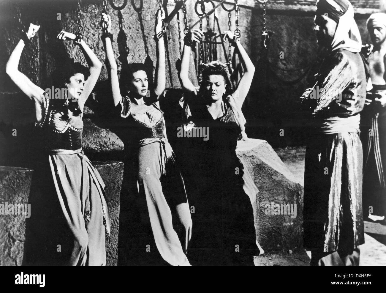 THE DESERT HAWK Stock Photo - Alamy