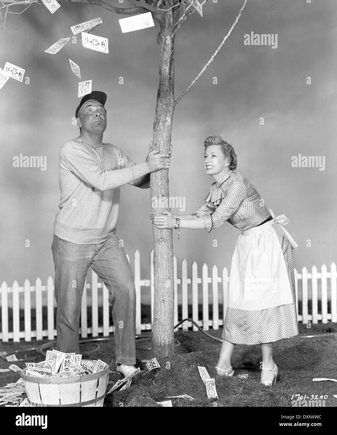 IT GROWS ON TREES Stock Photo - Alamy