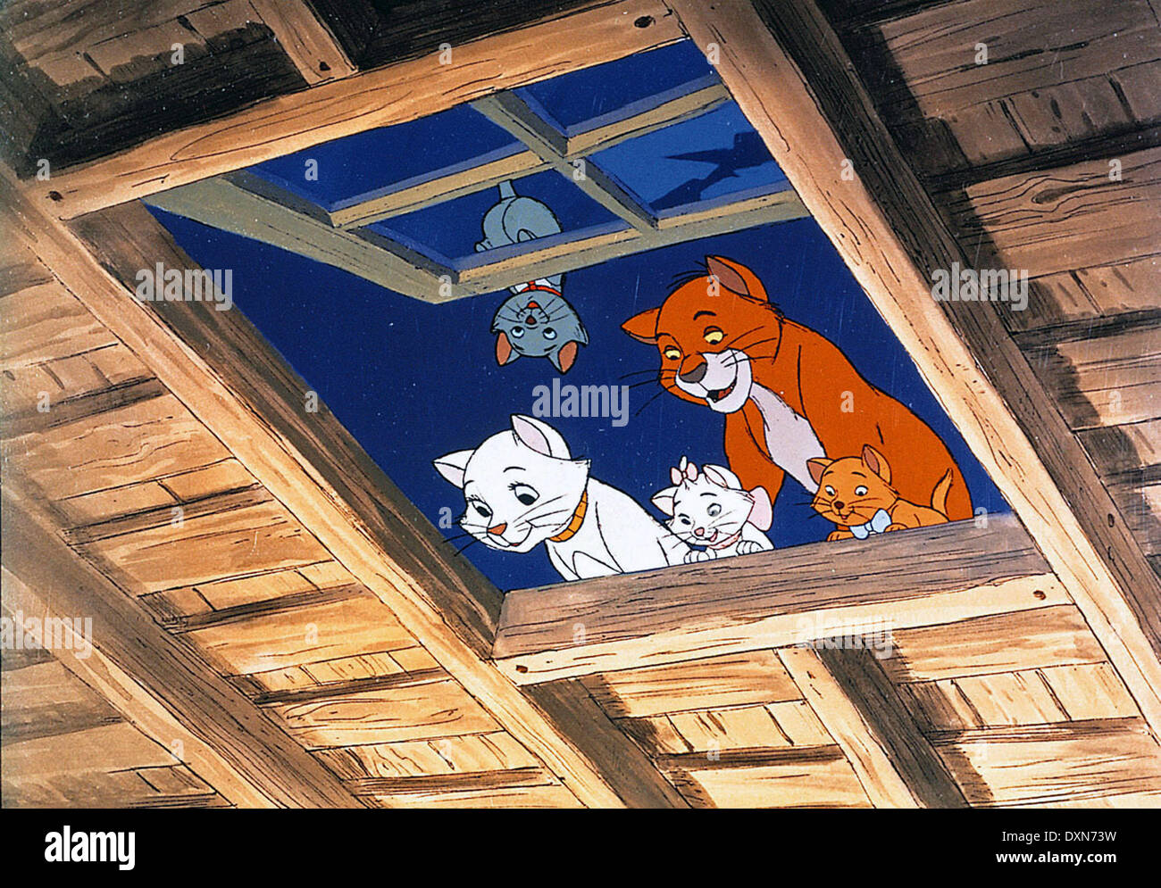Aristocats hi-res stock photography and images - Alamy