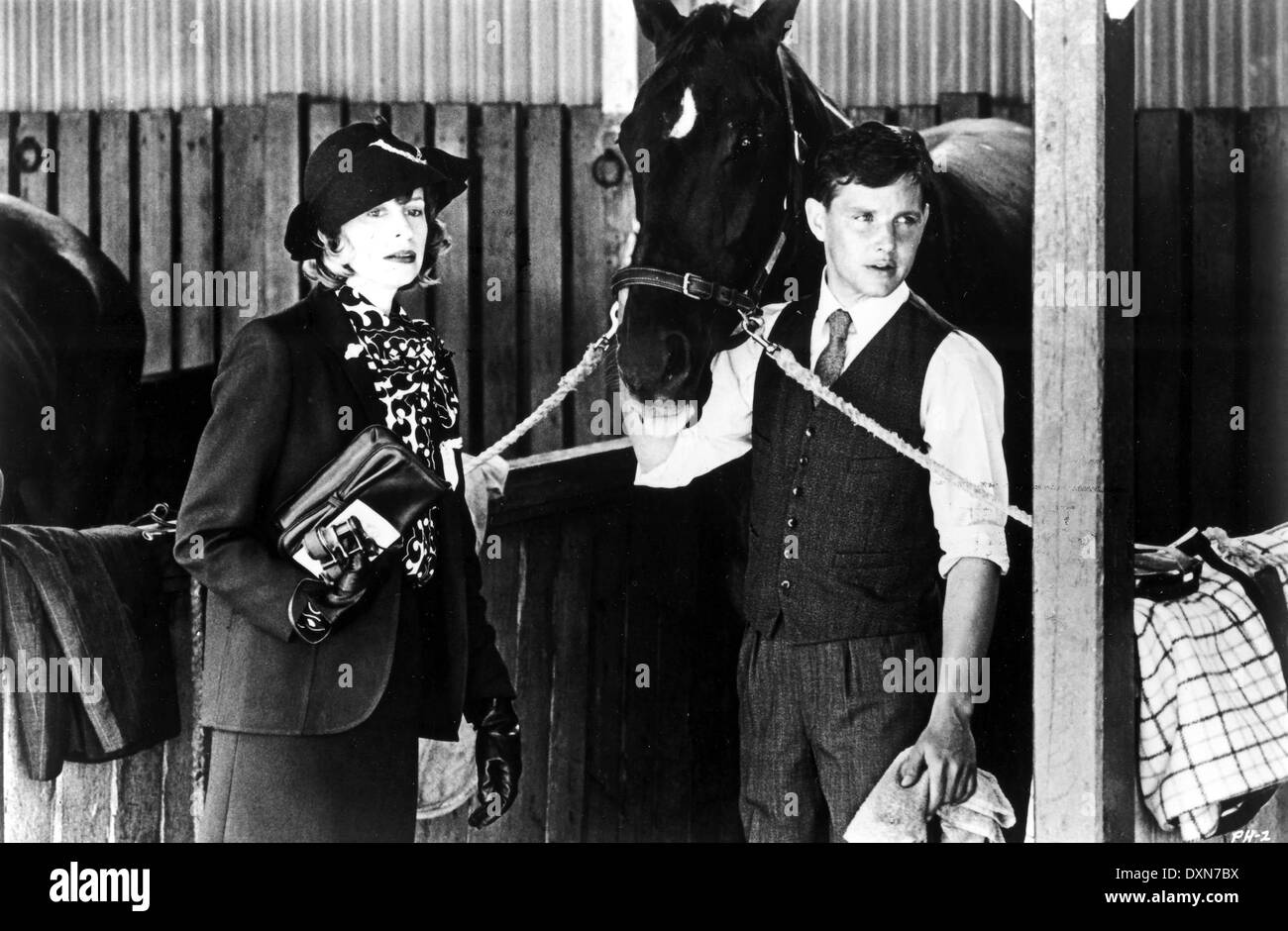 Phar lap 1983 film hi-res stock photography and images - Alamy