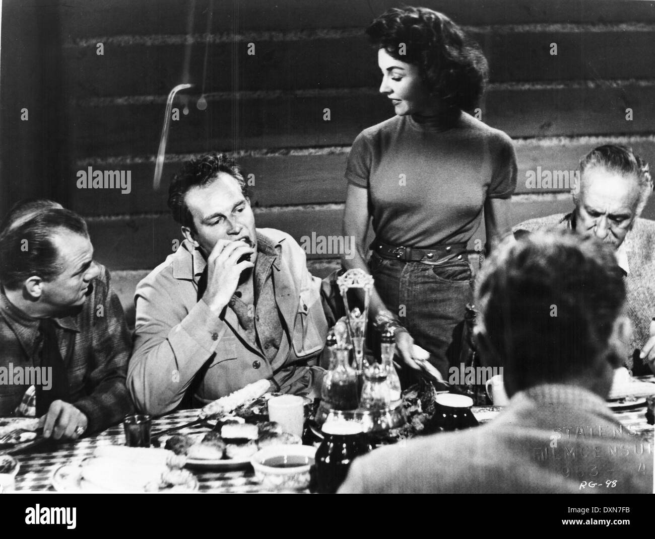 Jennifer jones ruby gentry 1952 hi-res stock photography and images - Alamy