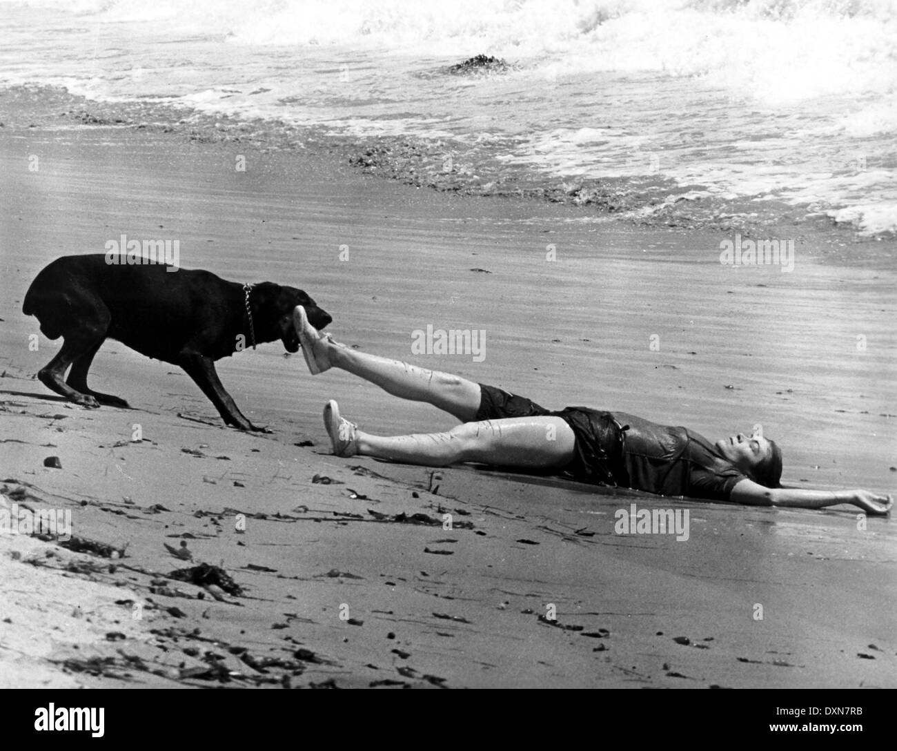 Masters Only High Resolution Stock Photography and Images - Alamy