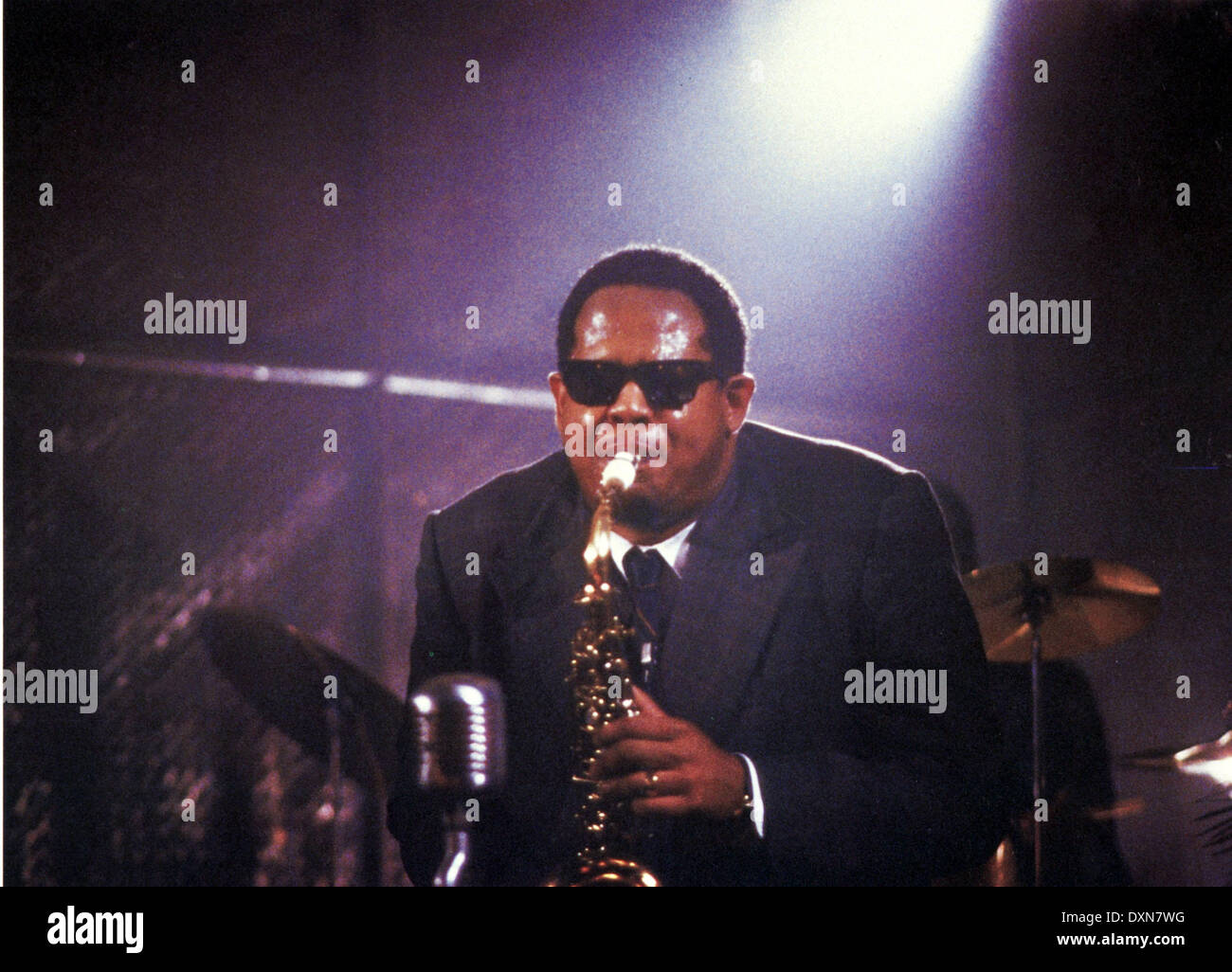 Charlie bird hi-res stock photography and images - Alamy