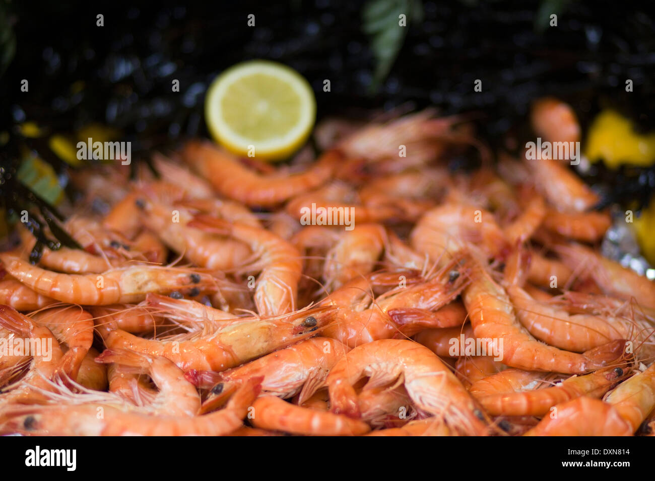 Still life fruit shell fish hi-res stock photography and images - Alamy