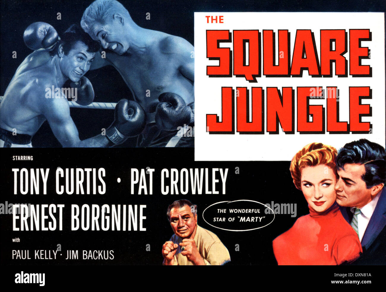 THE SQUARE JUNGLE Stock Photo - Alamy