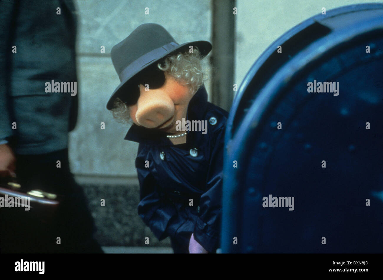 Miss piggy hi-res stock photography and images - Alamy