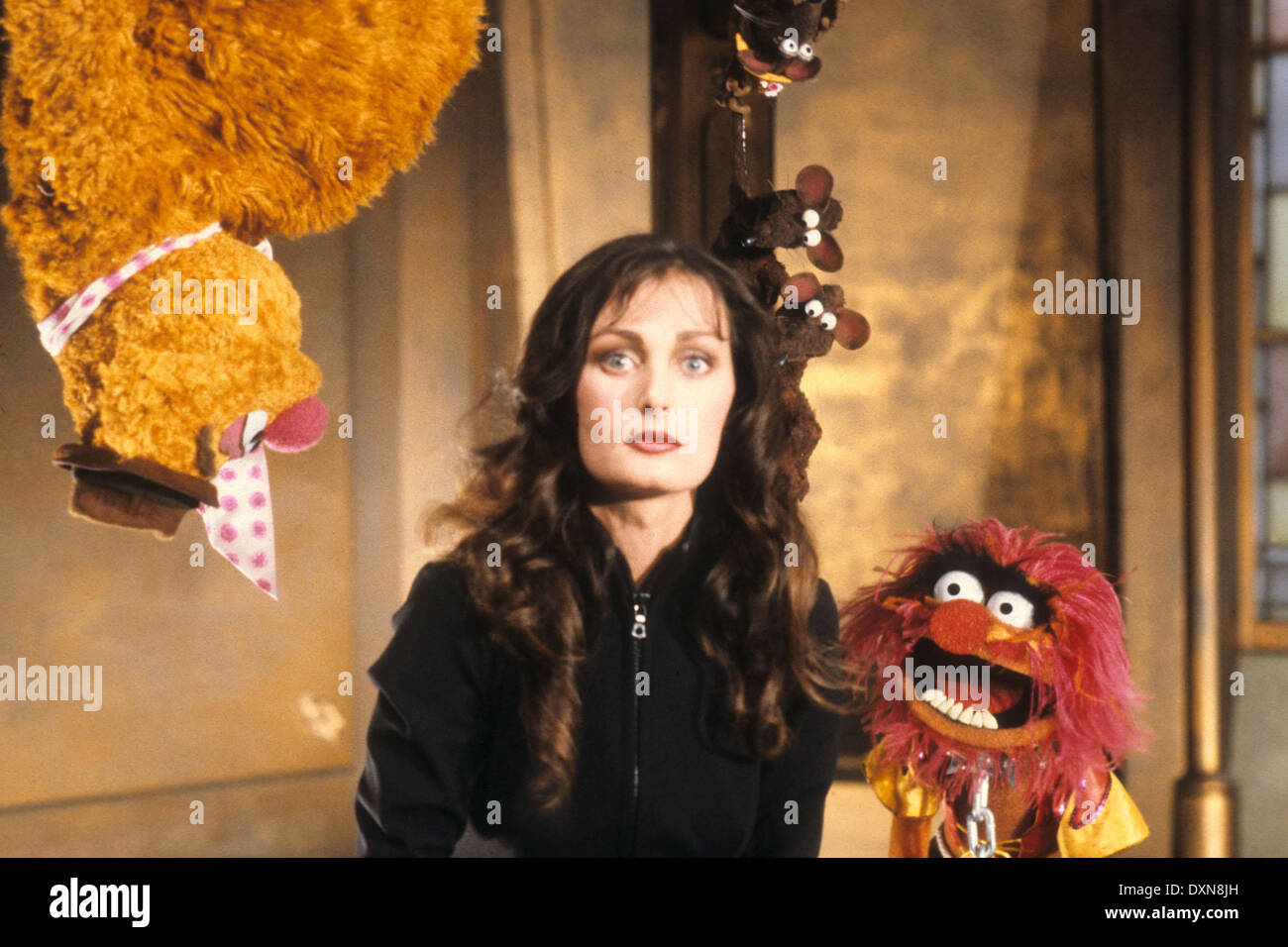 Film The Great Muppet Caper