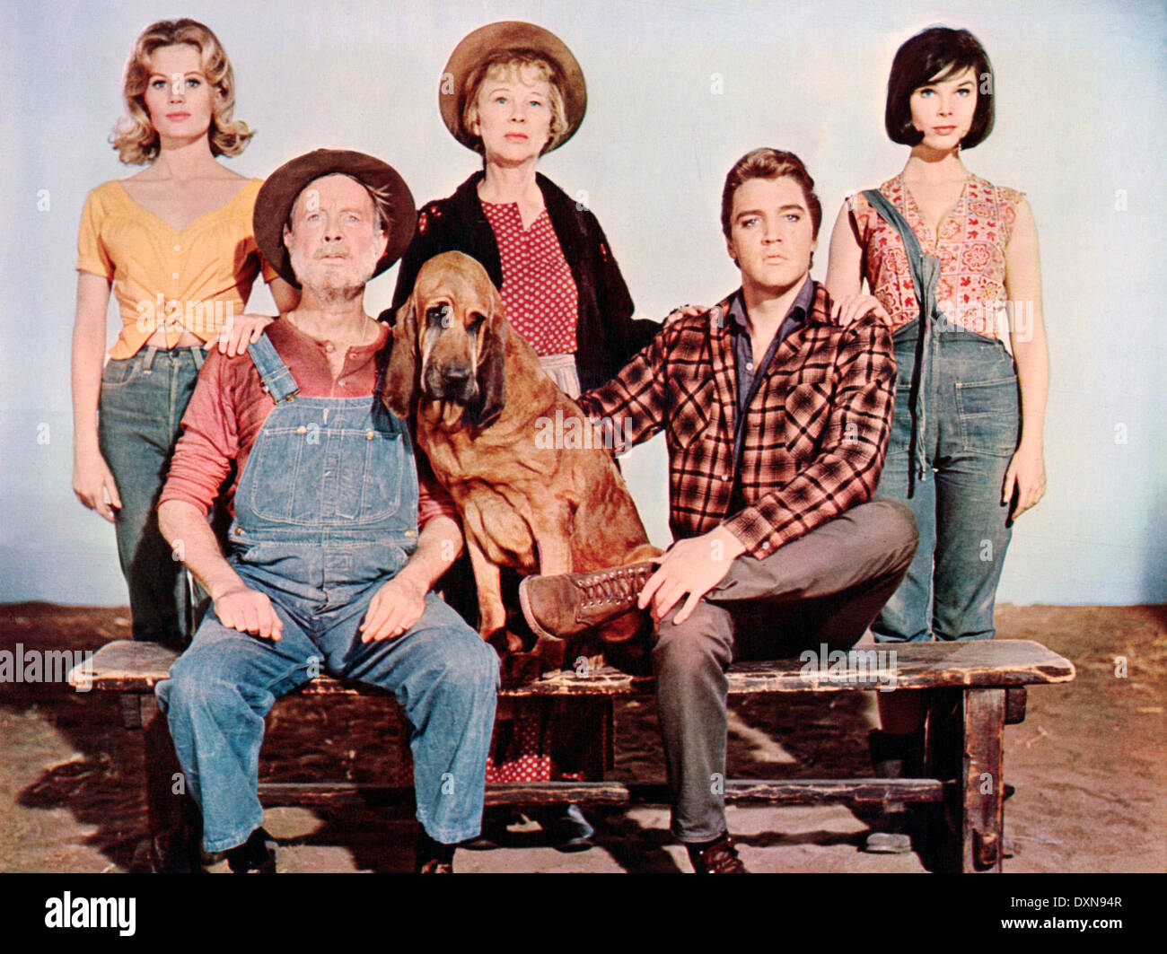 Pamela austin hi-res stock photography and images - Alamy