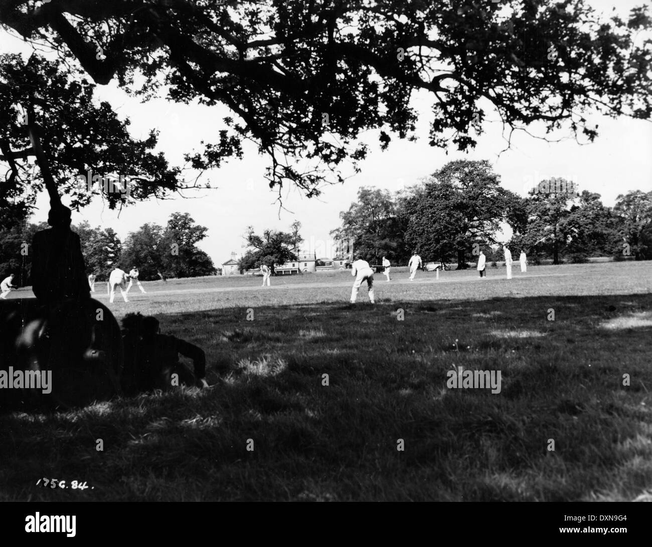 IT'S NOT CRICKET Stock Photo - Alamy