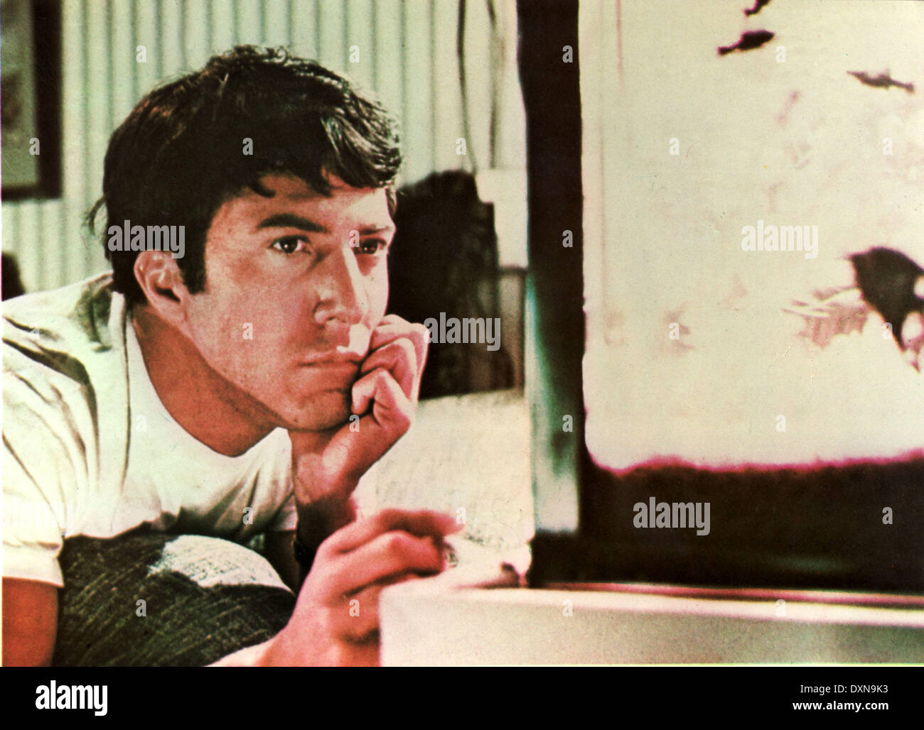 Graduate 1967 film dustin hoffman hi-res stock photography and images ...