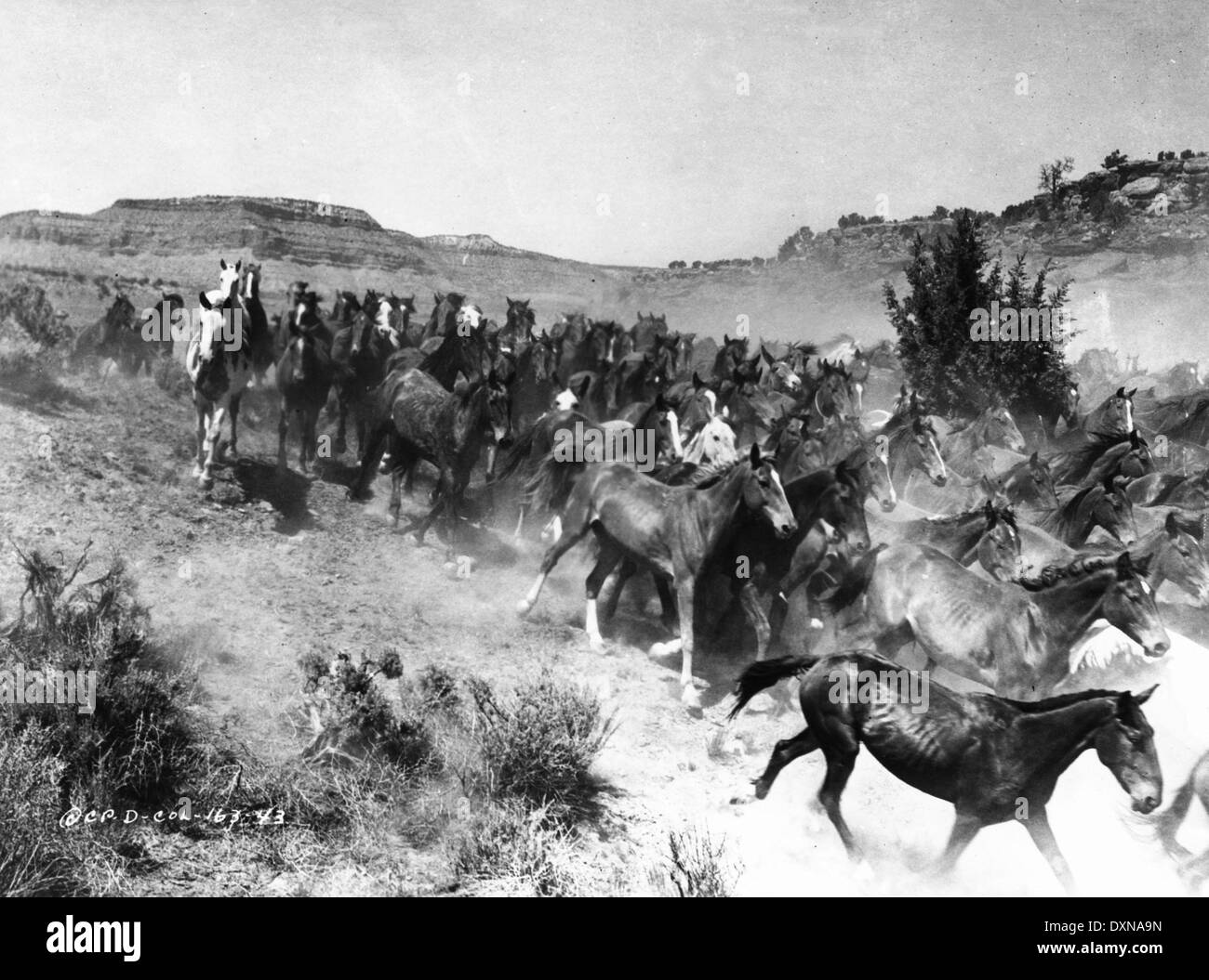 Desperadoes hi-res stock photography and images - Alamy