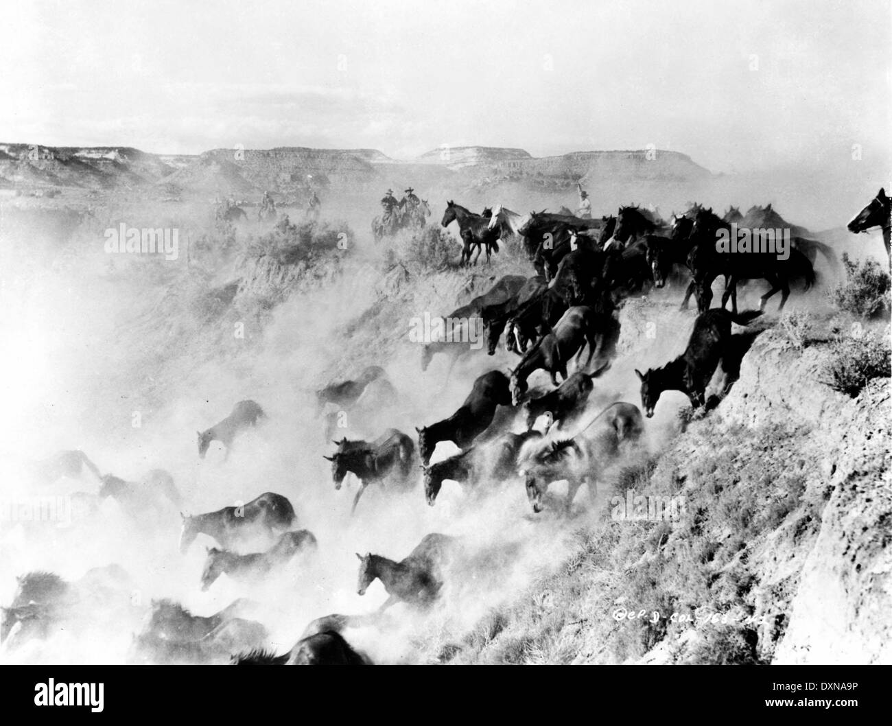 Desperadoes hi-res stock photography and images - Alamy