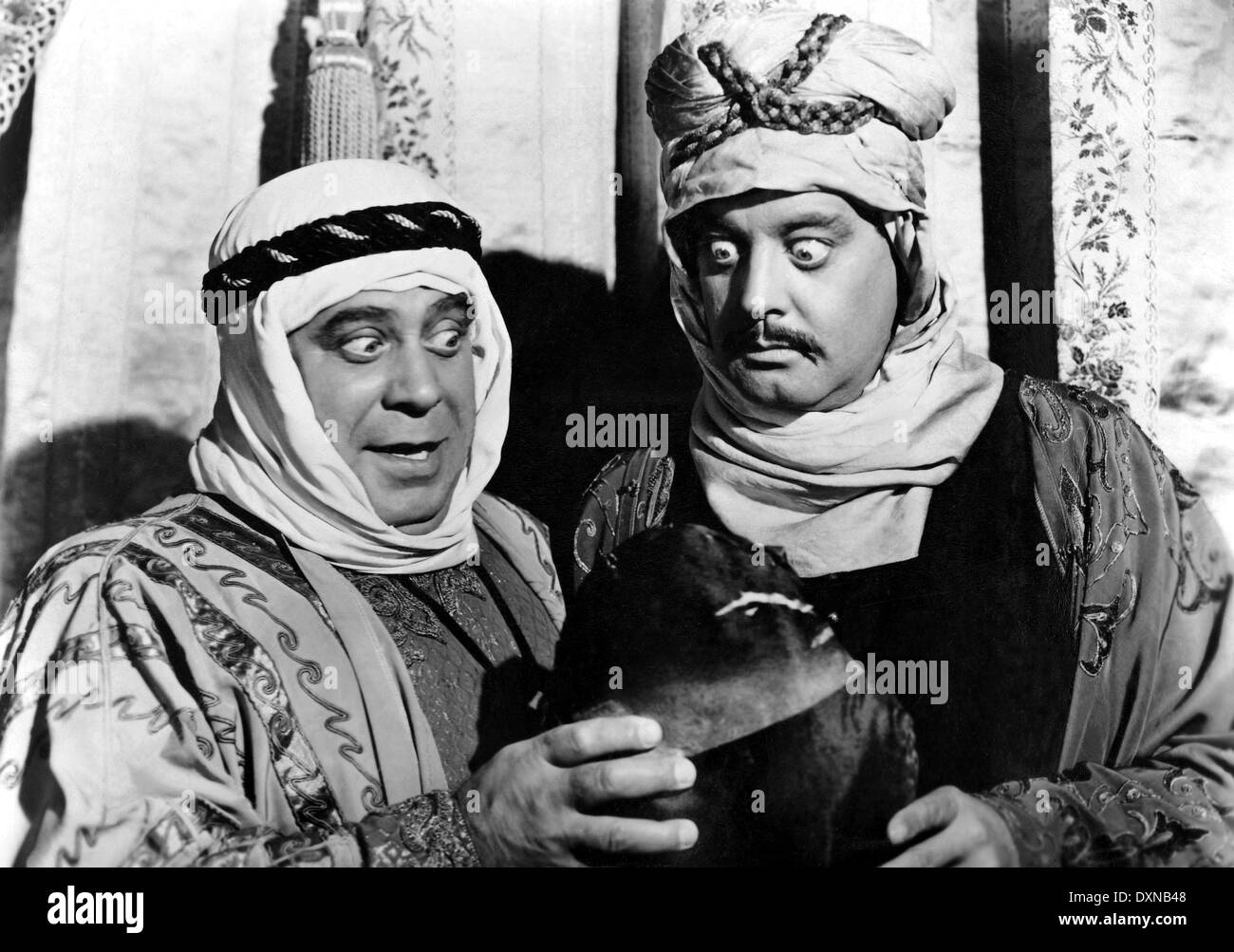 THE DESERT HAWK Stock Photo - Alamy