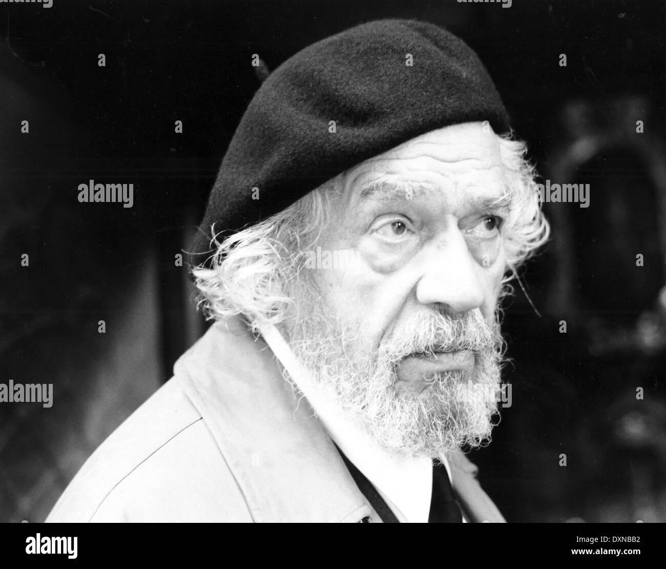 Utz hi-res stock photography and images - Alamy