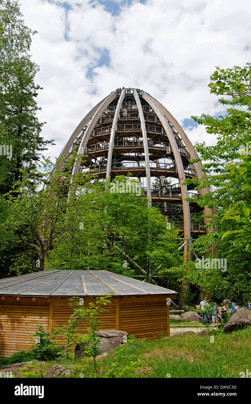 Germany, Lower Bavaria, Neuschoenau, Bavarian Forest National Park ...