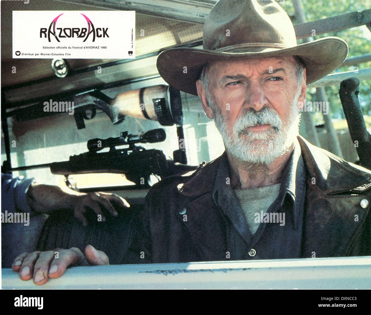 Razorback 1984 hi-res stock photography and images - Alamy