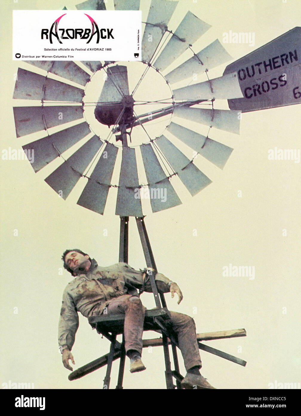 Razorback 1984 hi-res stock photography and images - Alamy