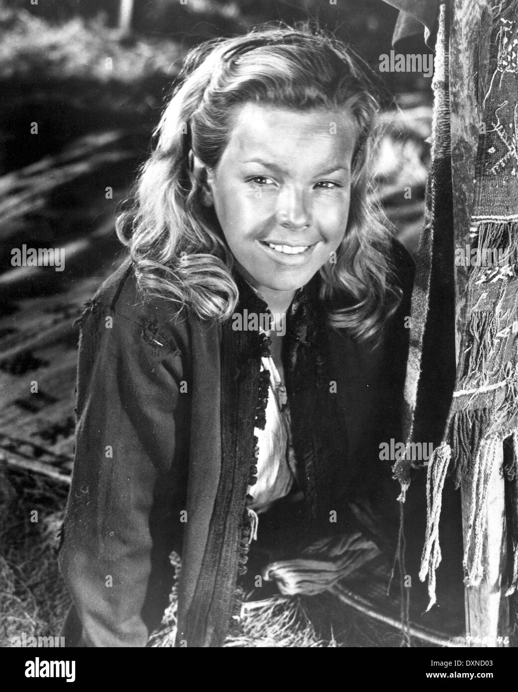 THE BLACK ROSE Stock Photo - Alamy