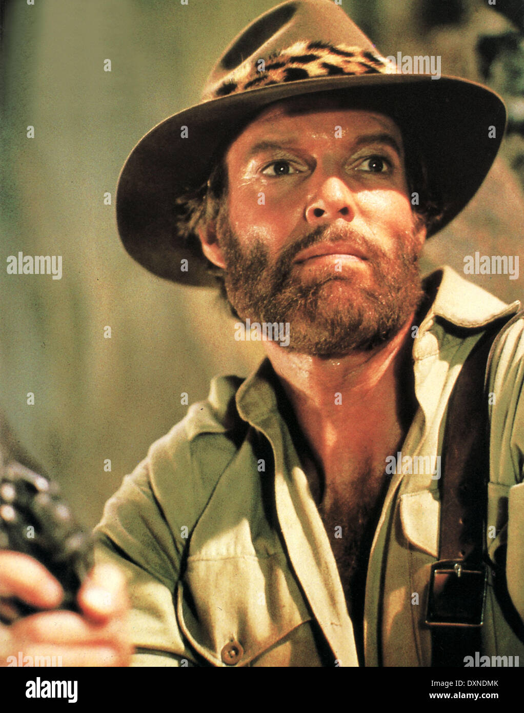 ALLAN QUATERMAIN AND THE LOST CITY OF GOLD Stock Photo - Alamy