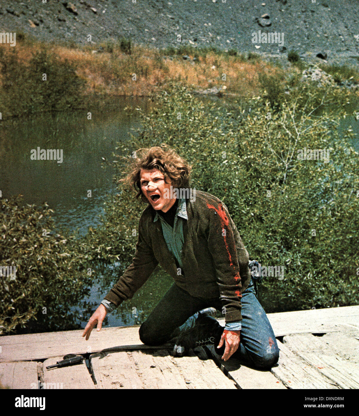 Andrew robinson scorpio hi-res stock photography and images - Alamy