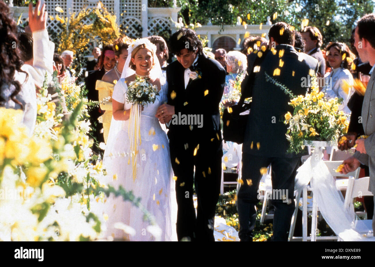 THE WEDDING SINGER Stock Photo - Alamy