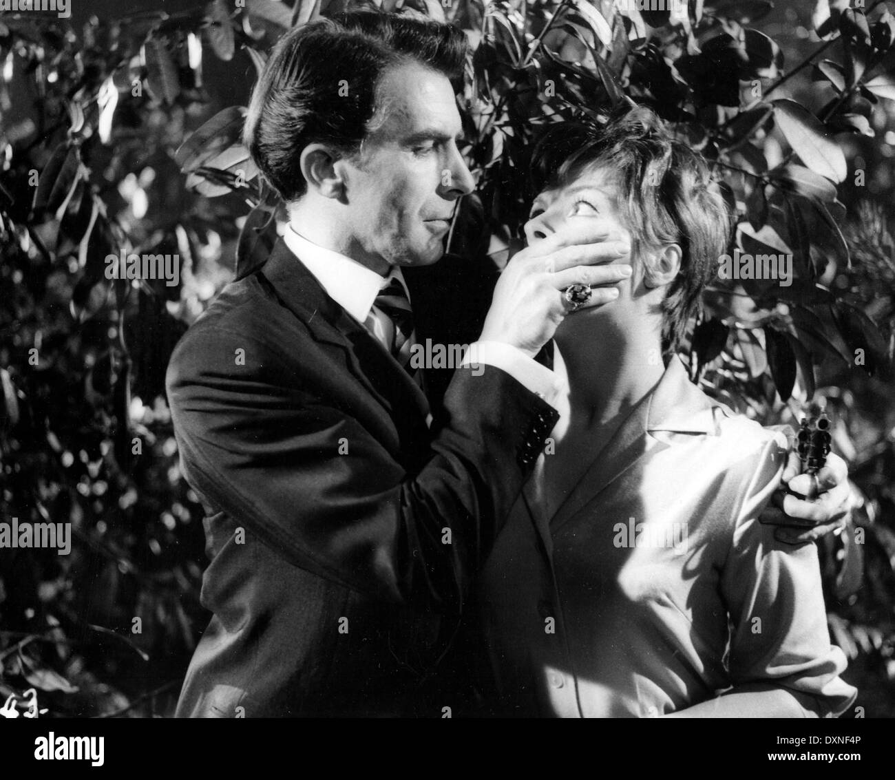 Jill adams hi-res stock photography and images - Alamy