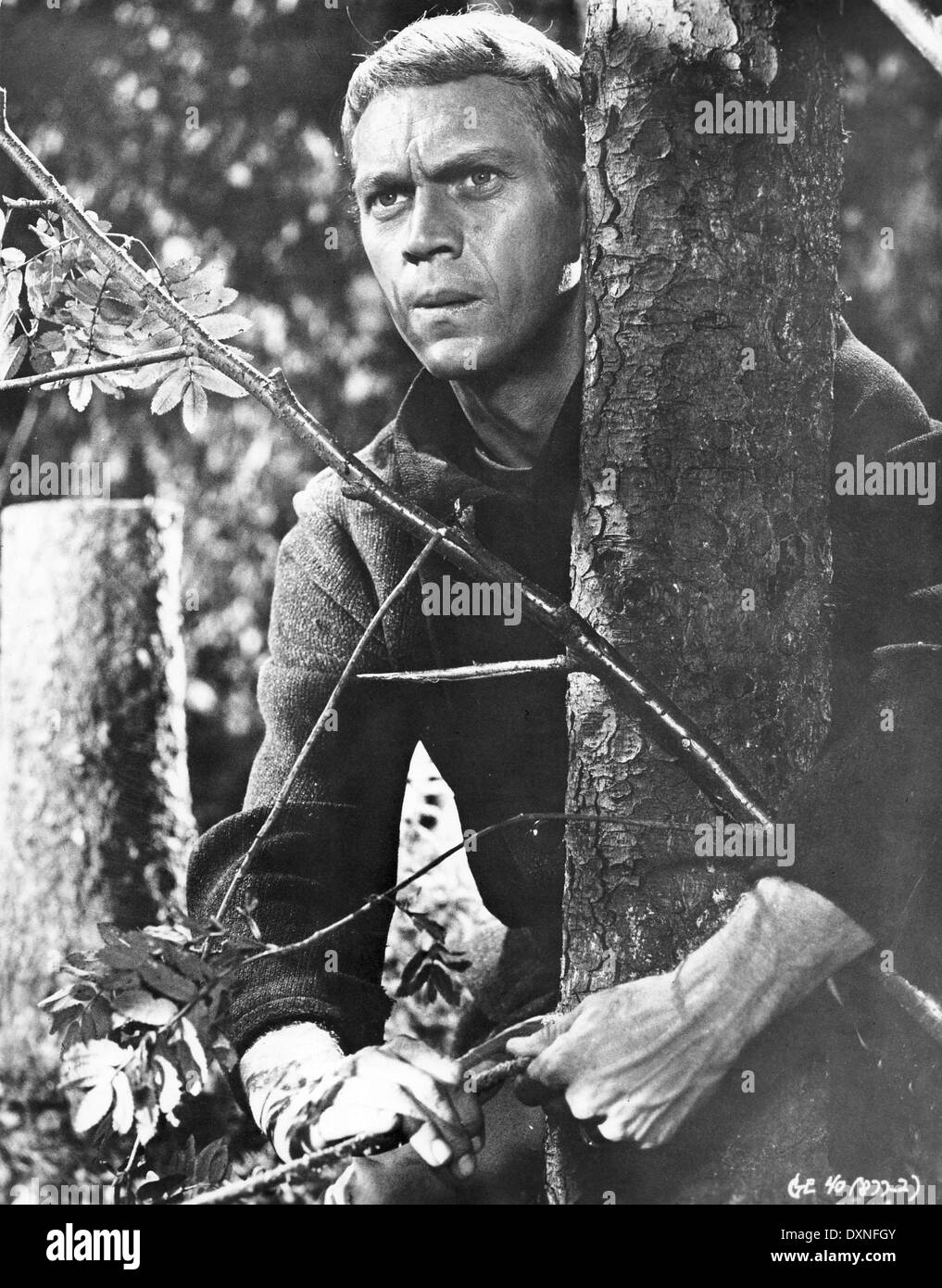 The great escape 1963 steve hi-res stock photography and images - Alamy