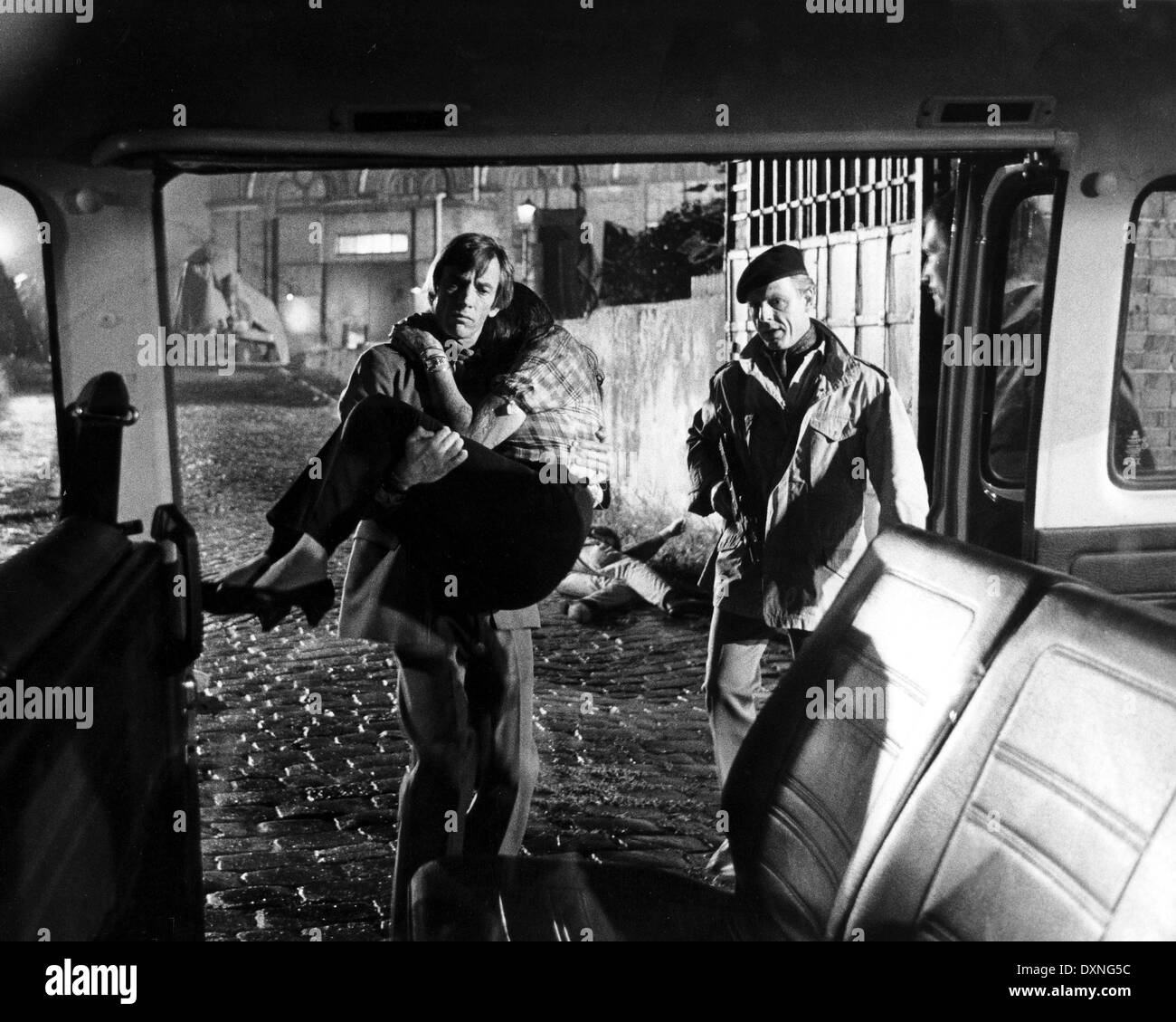 WILD GEESE II Stock Photo - Alamy