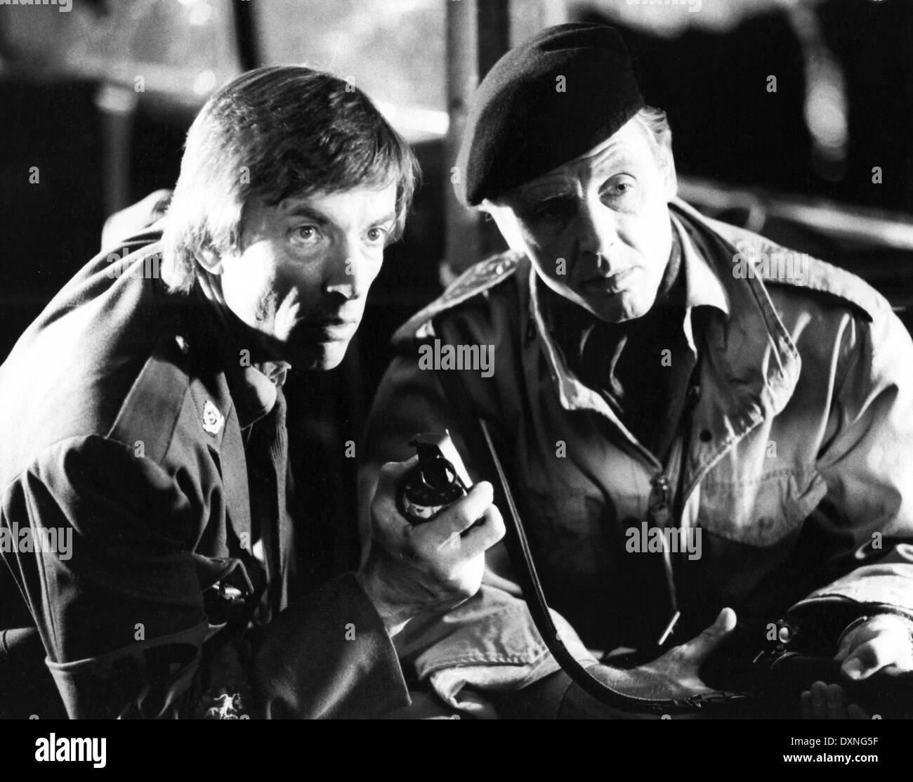 WILD GEESE II Stock Photo - Alamy