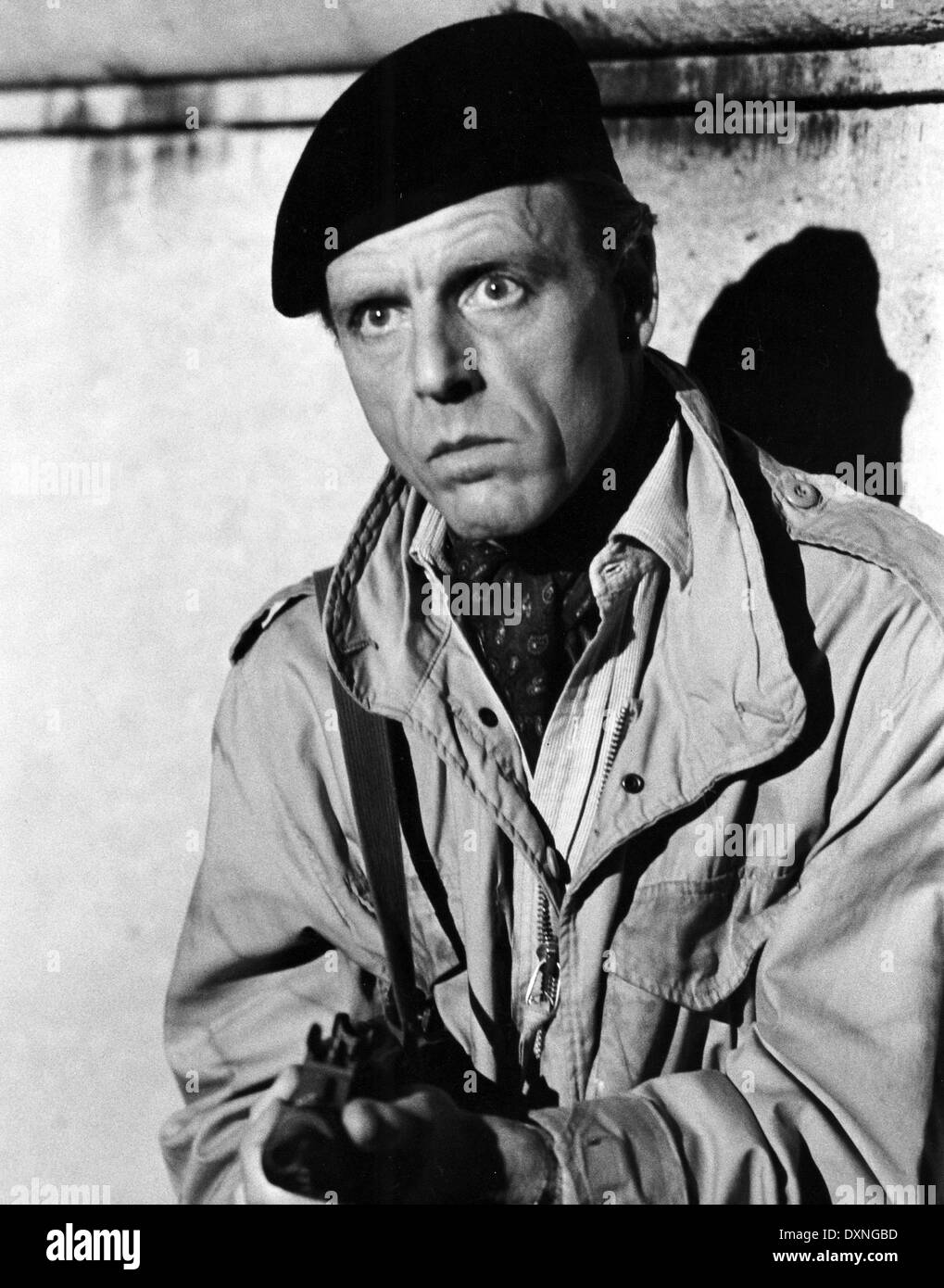 WILD GEESE II Stock Photo - Alamy