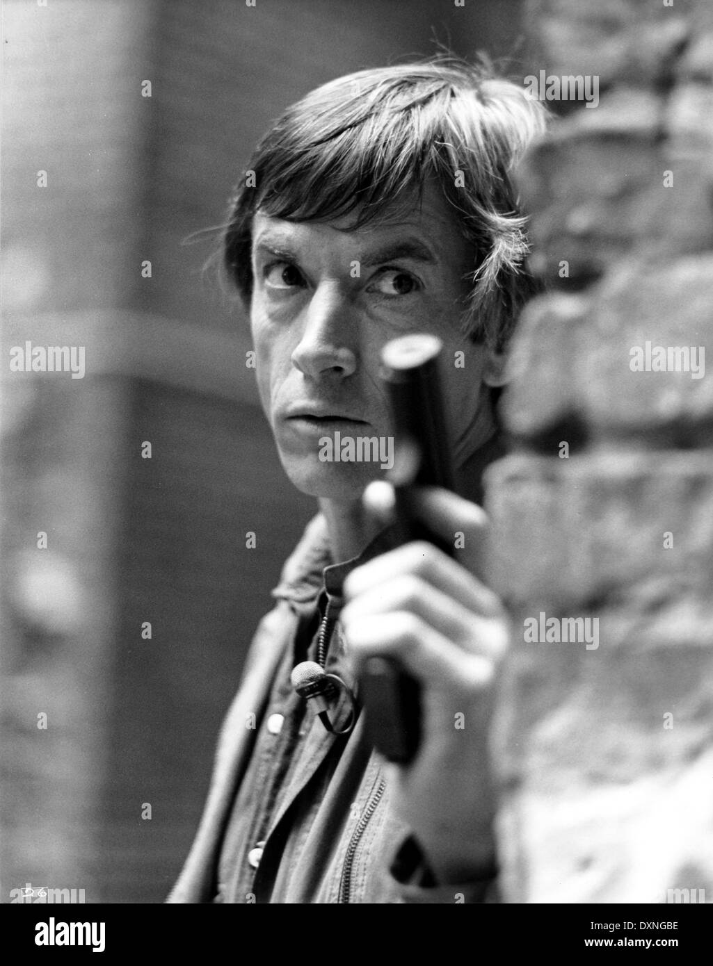 WILD GEESE II Stock Photo - Alamy