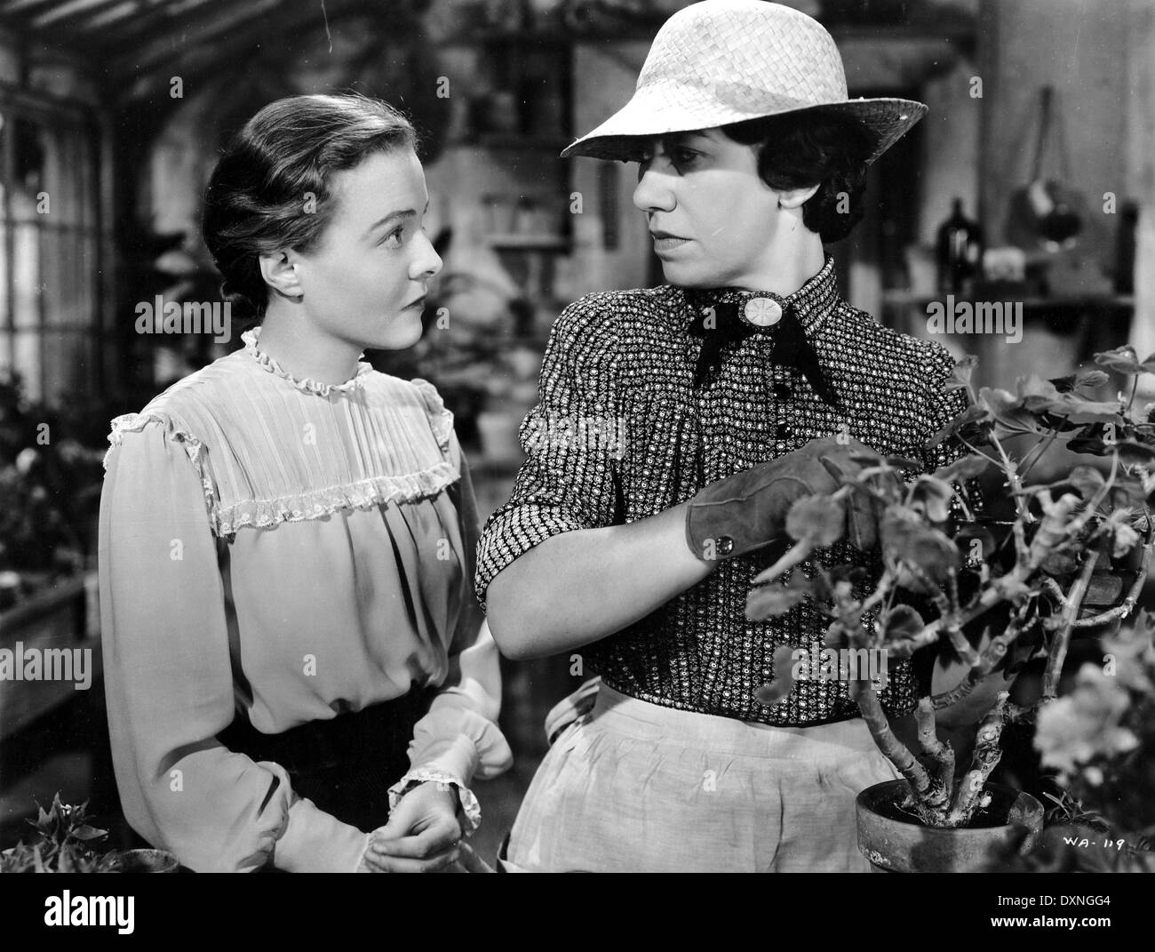 WE ARE NOT ALONE Stock Photo - Alamy