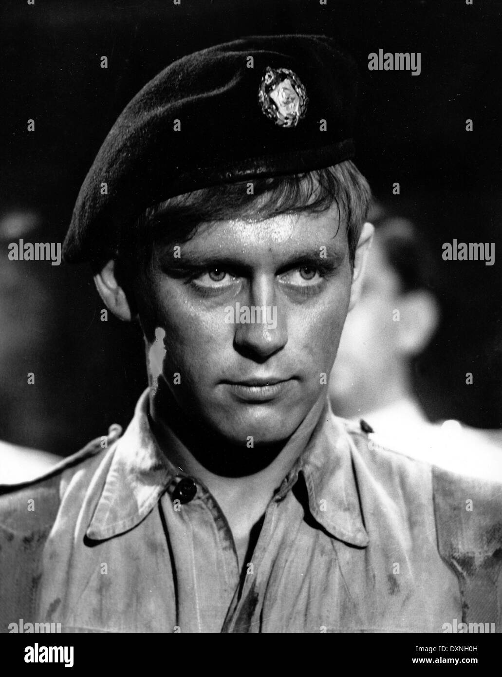 GUNS AT BATASI Stock Photo - Alamy