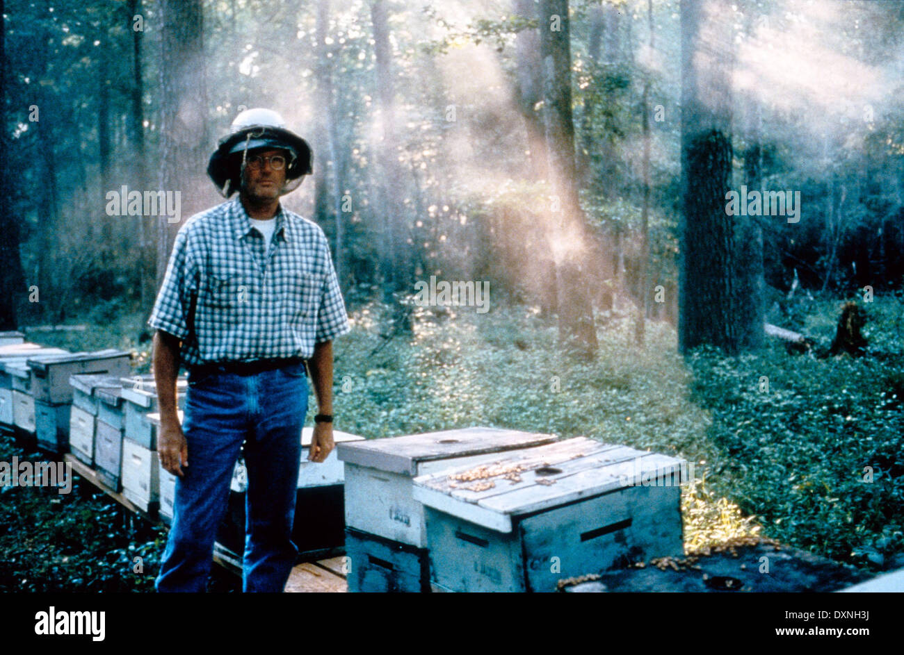 Ulee's gold hi-res stock photography and images - Alamy