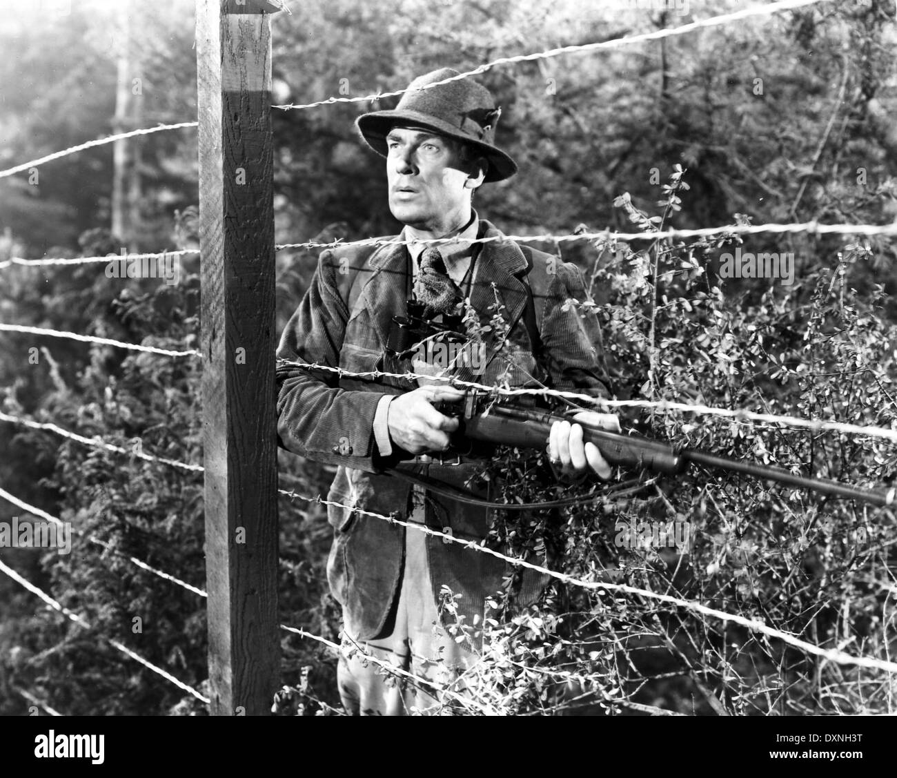 Man hunt 1941 film hi-res stock photography and images - Alamy