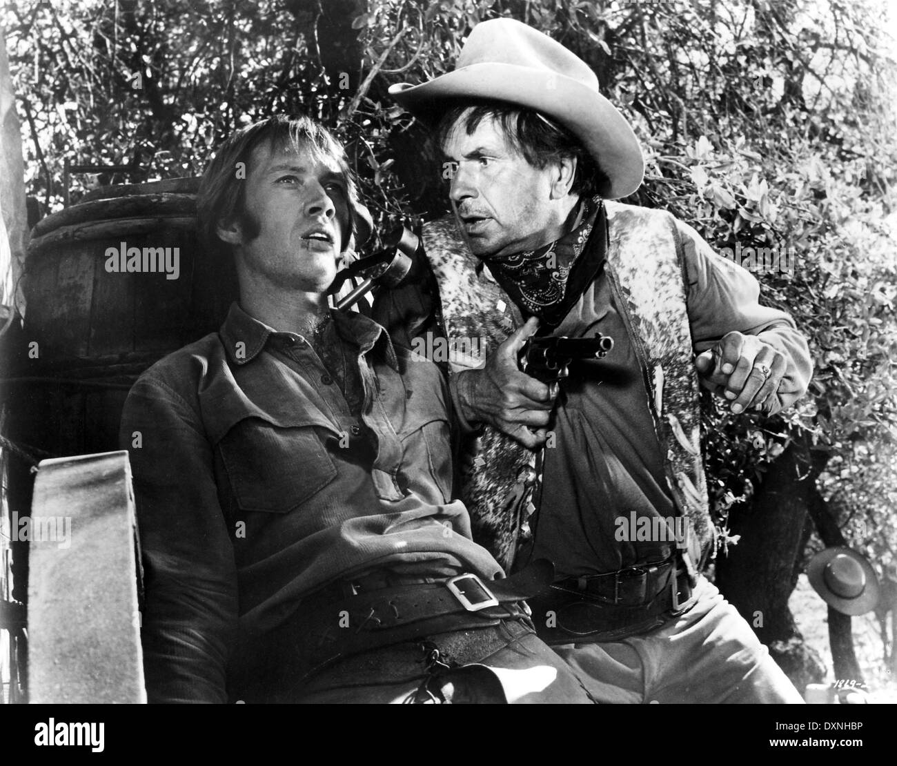 David Shane Stock Photos & David Shane Stock Images - Alamy