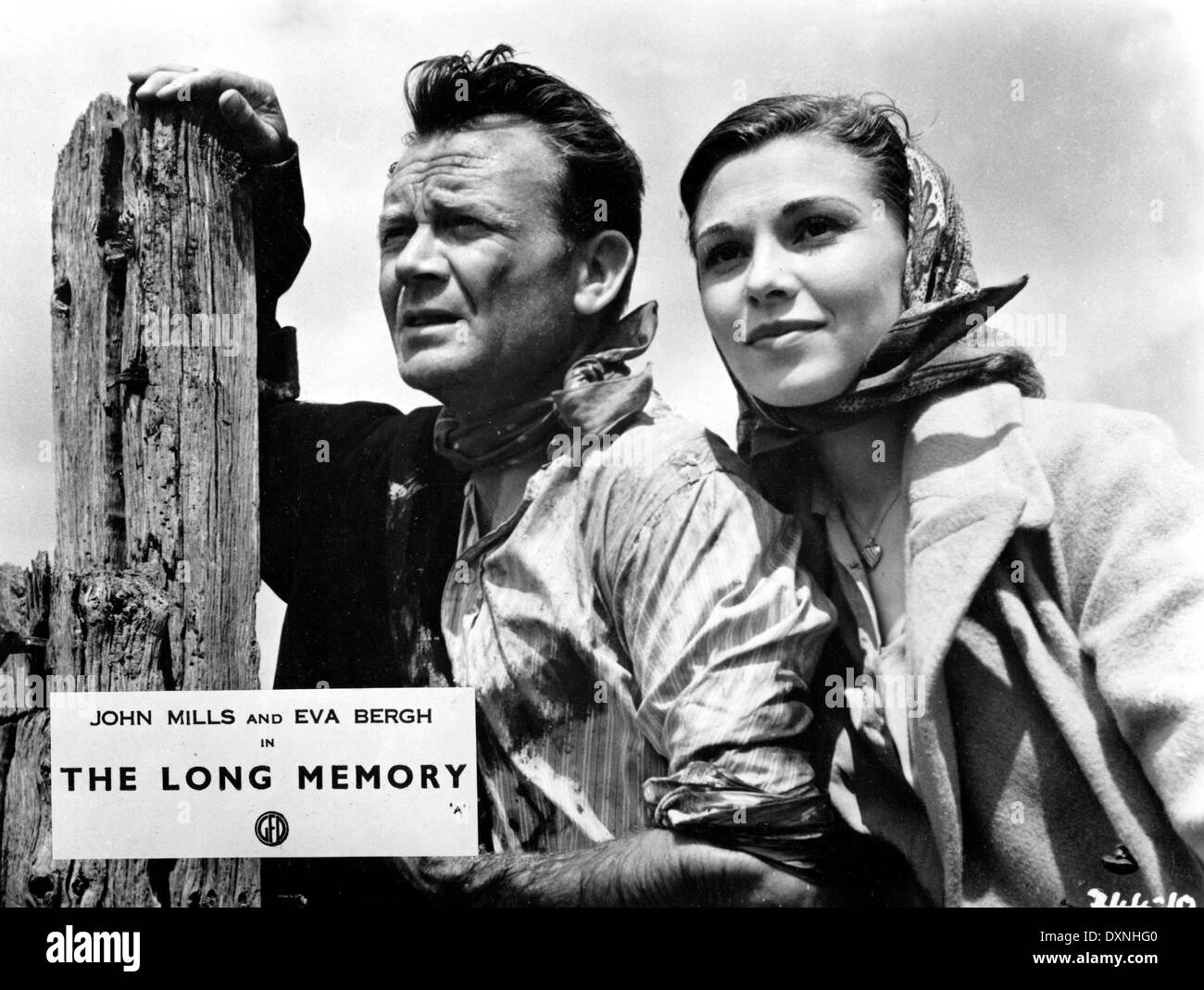 THE LONG MEMORY Stock Photo - Alamy