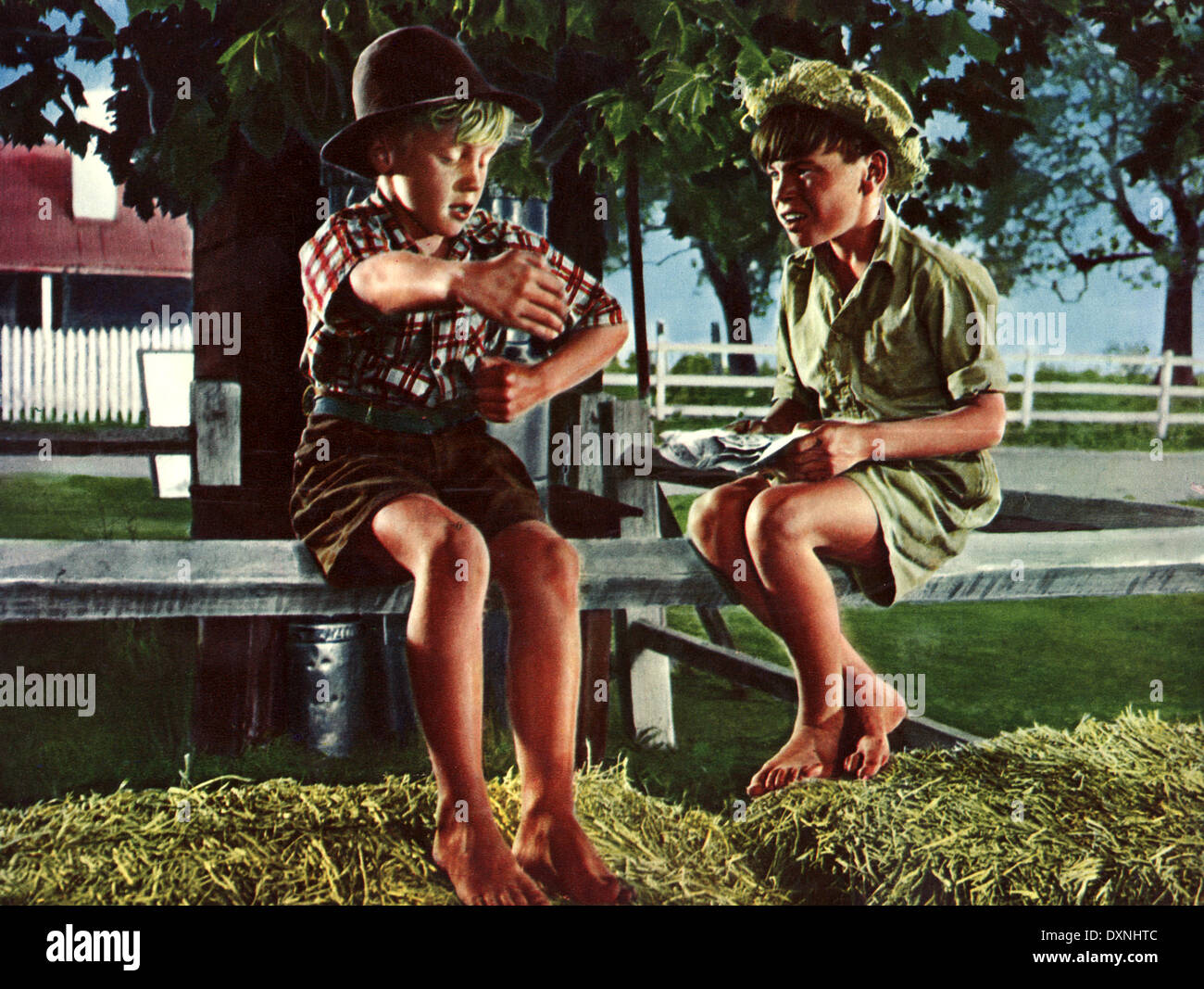 SMILEY GETS A GUN Stock Photo - Alamy