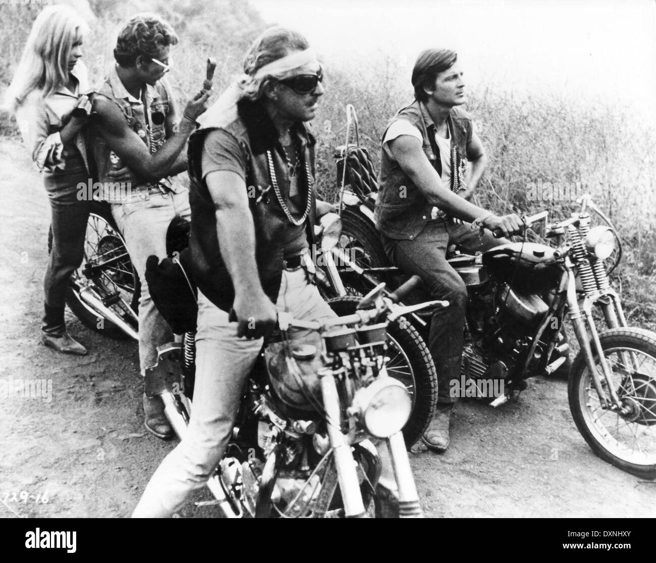 THE GLORY STOMPERS Stock Photo - Alamy