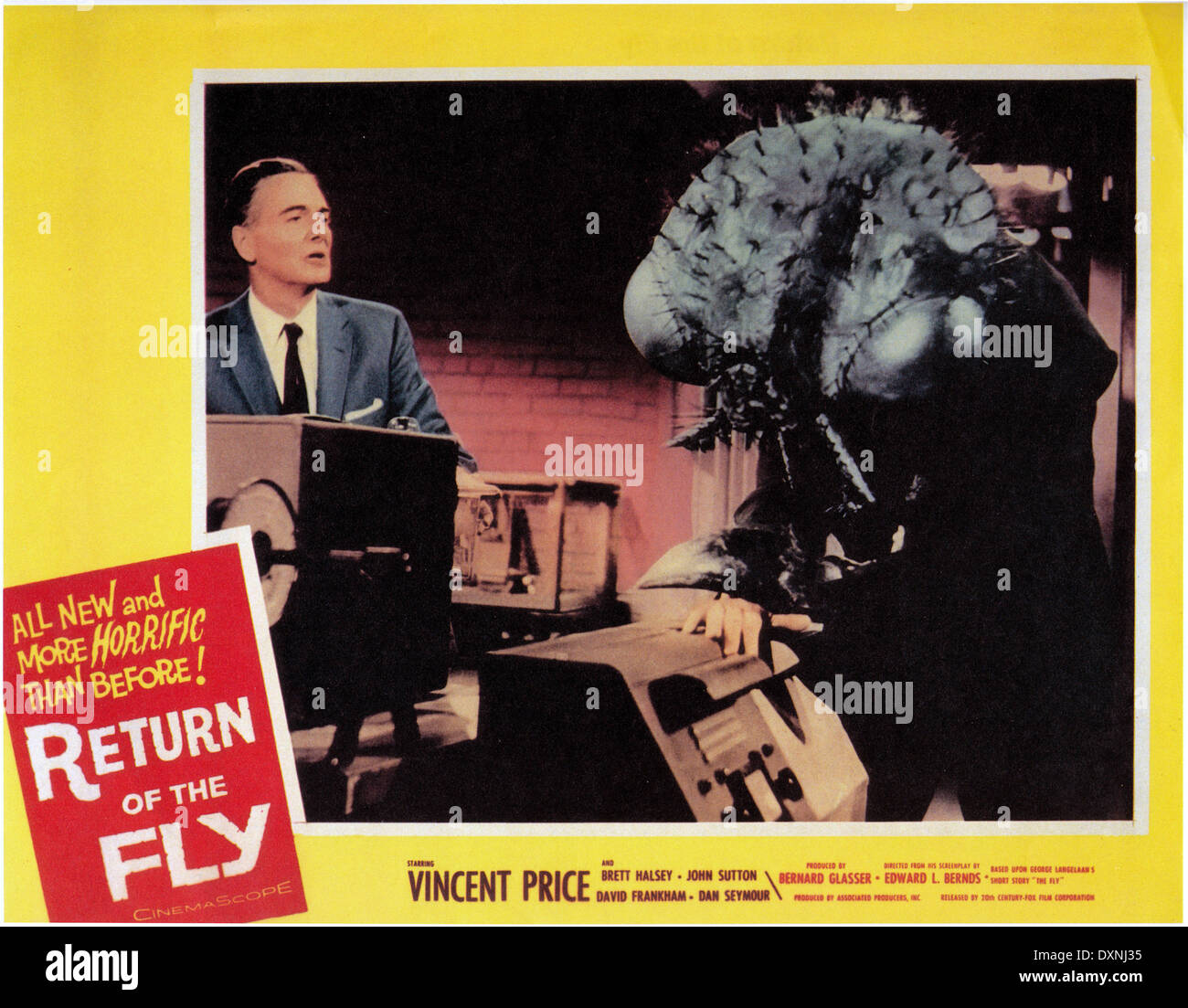 RETURN OF THE FLY Stock Photo - Alamy