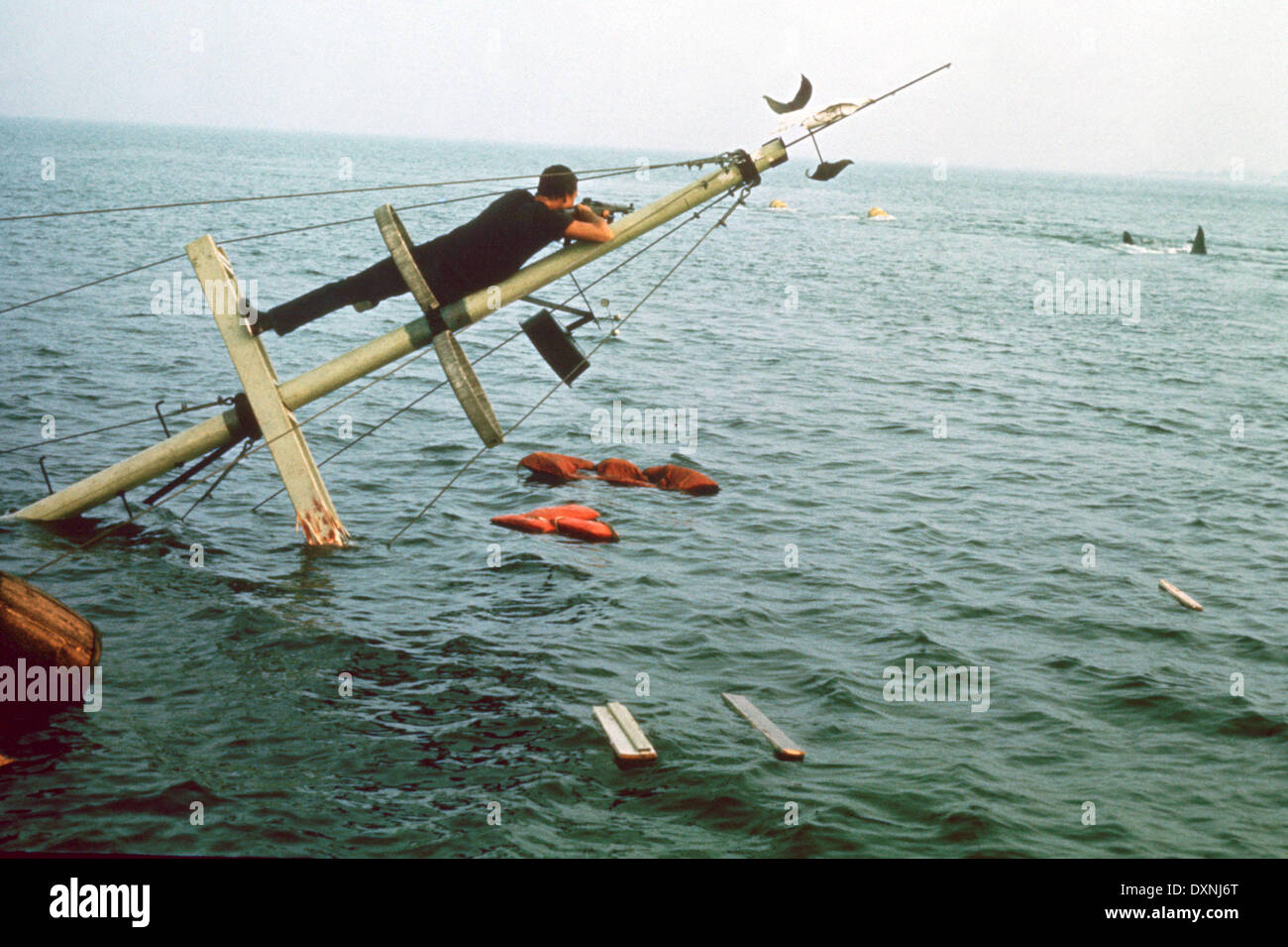 Roy Scheider Jaws 1975 High Resolution Stock Photography and Images - Alamy