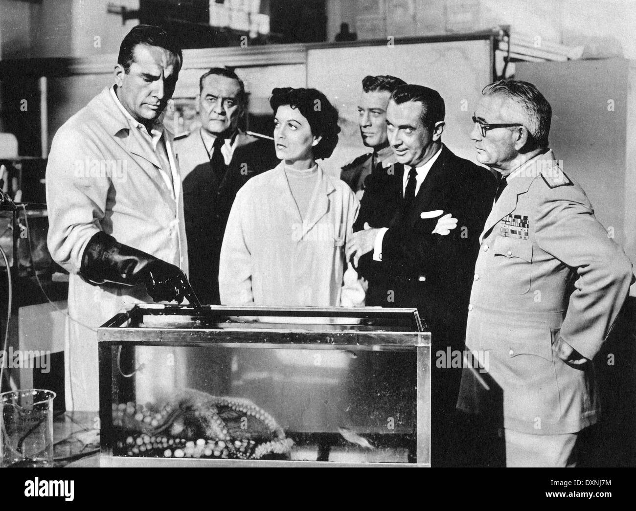 It Came From Beneath the Sea Stock Photo - Alamy