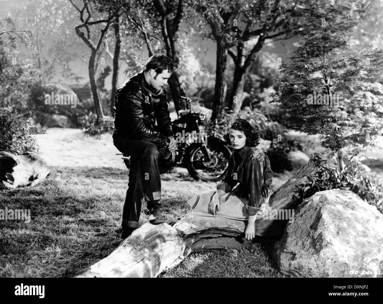 THE WILD ONE Stock Photo - Alamy