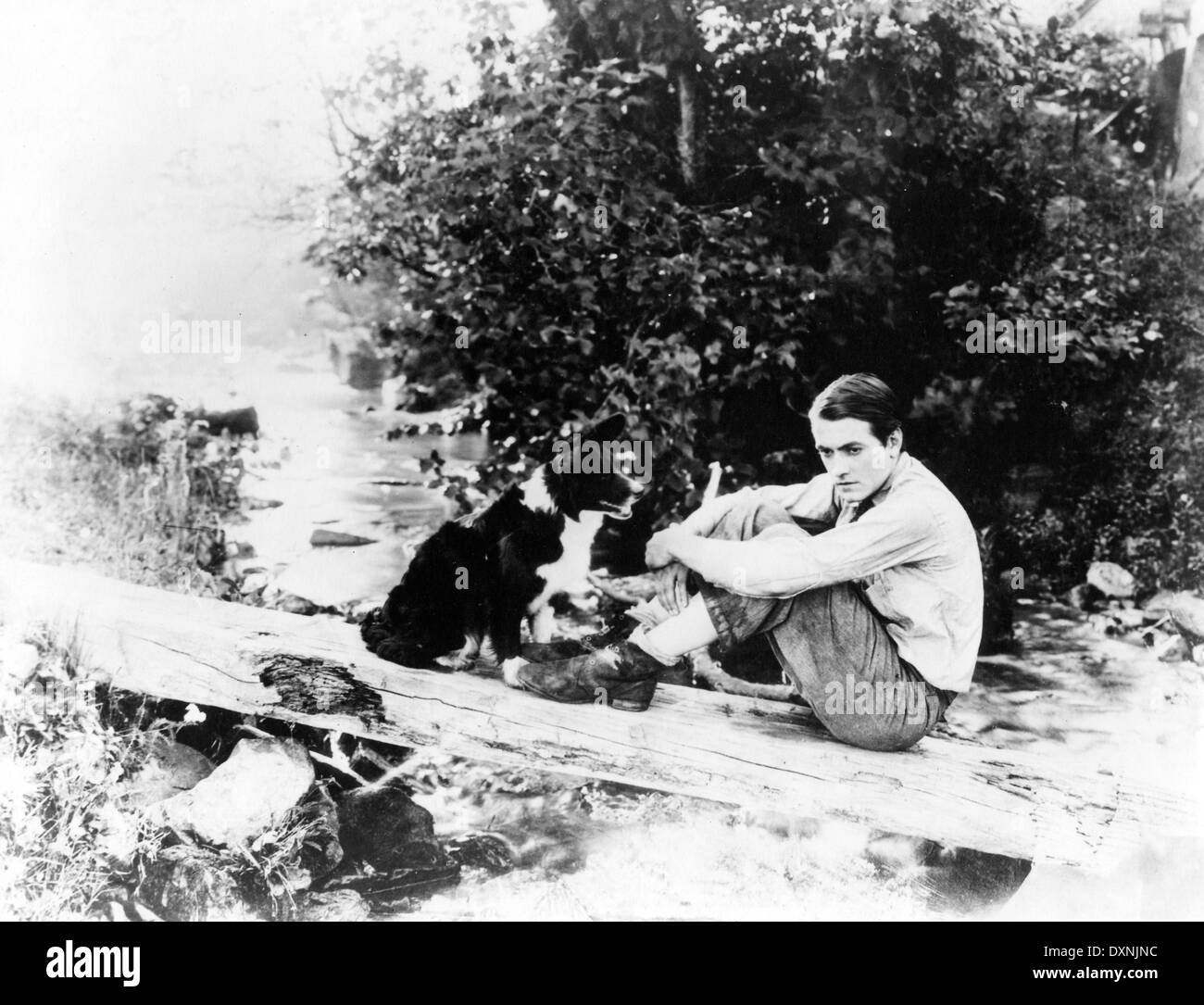 David tolable hi-res stock photography and images - Alamy