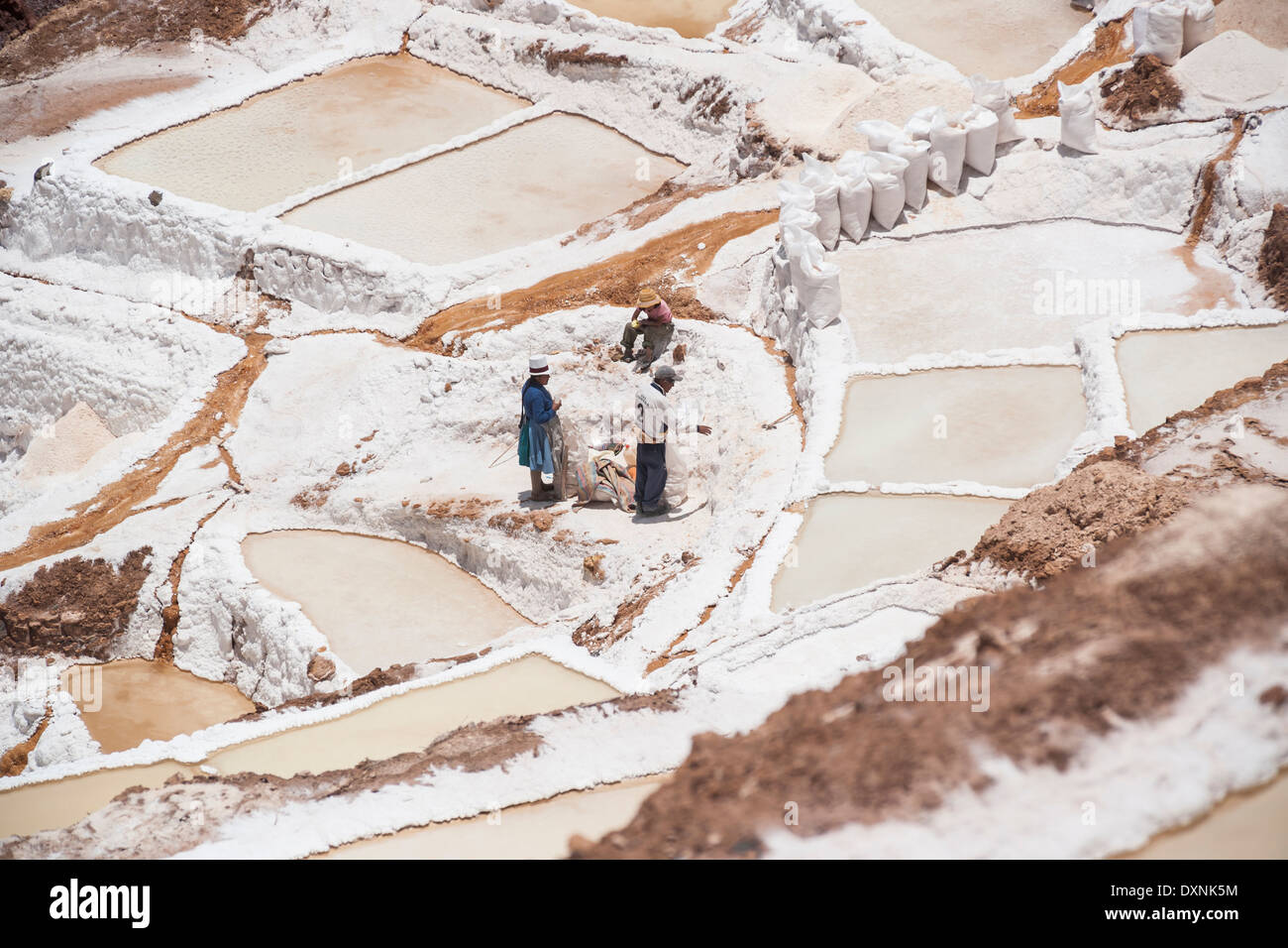 Salt field indian hi-res stock photography and images - Alamy