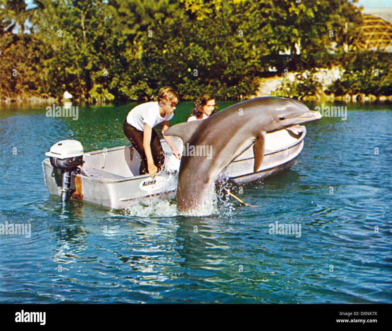Flipper 1964 hi-res stock photography and images - Alamy